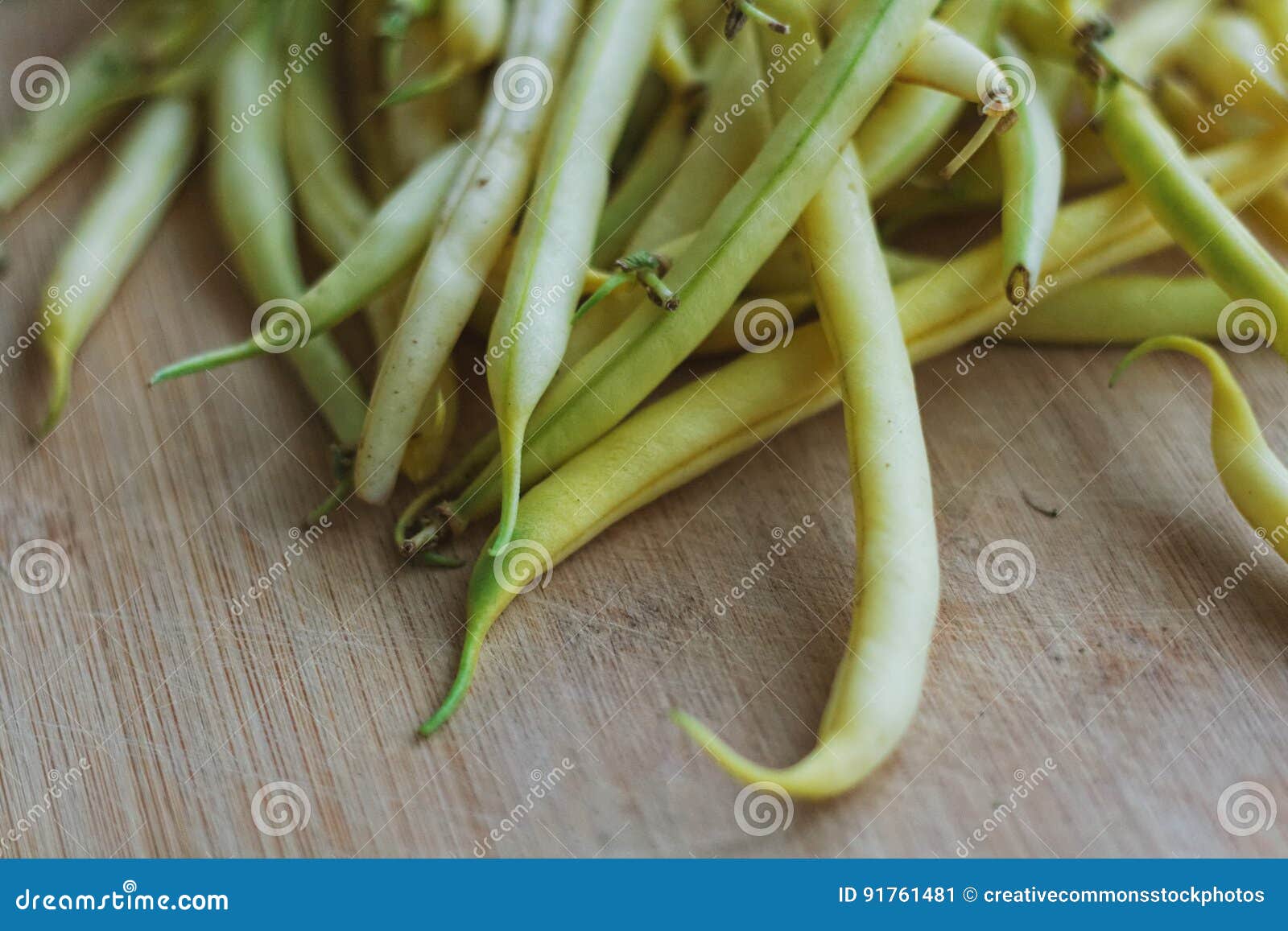 Green Kentucky Beans Picture. Image: 91761481