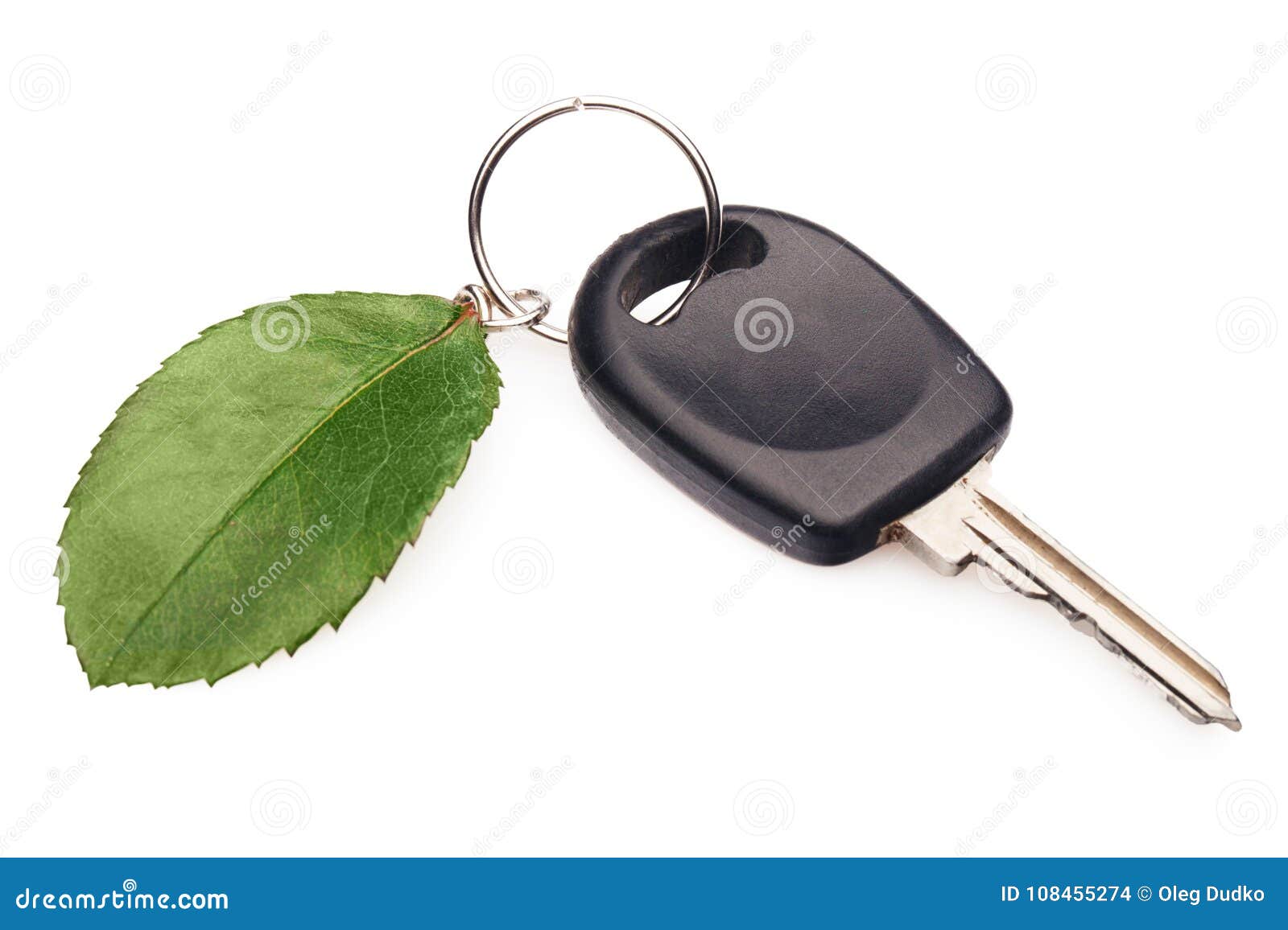 Car Key with Green Leaf Isolated on White Stock Photo - Image of lock ...