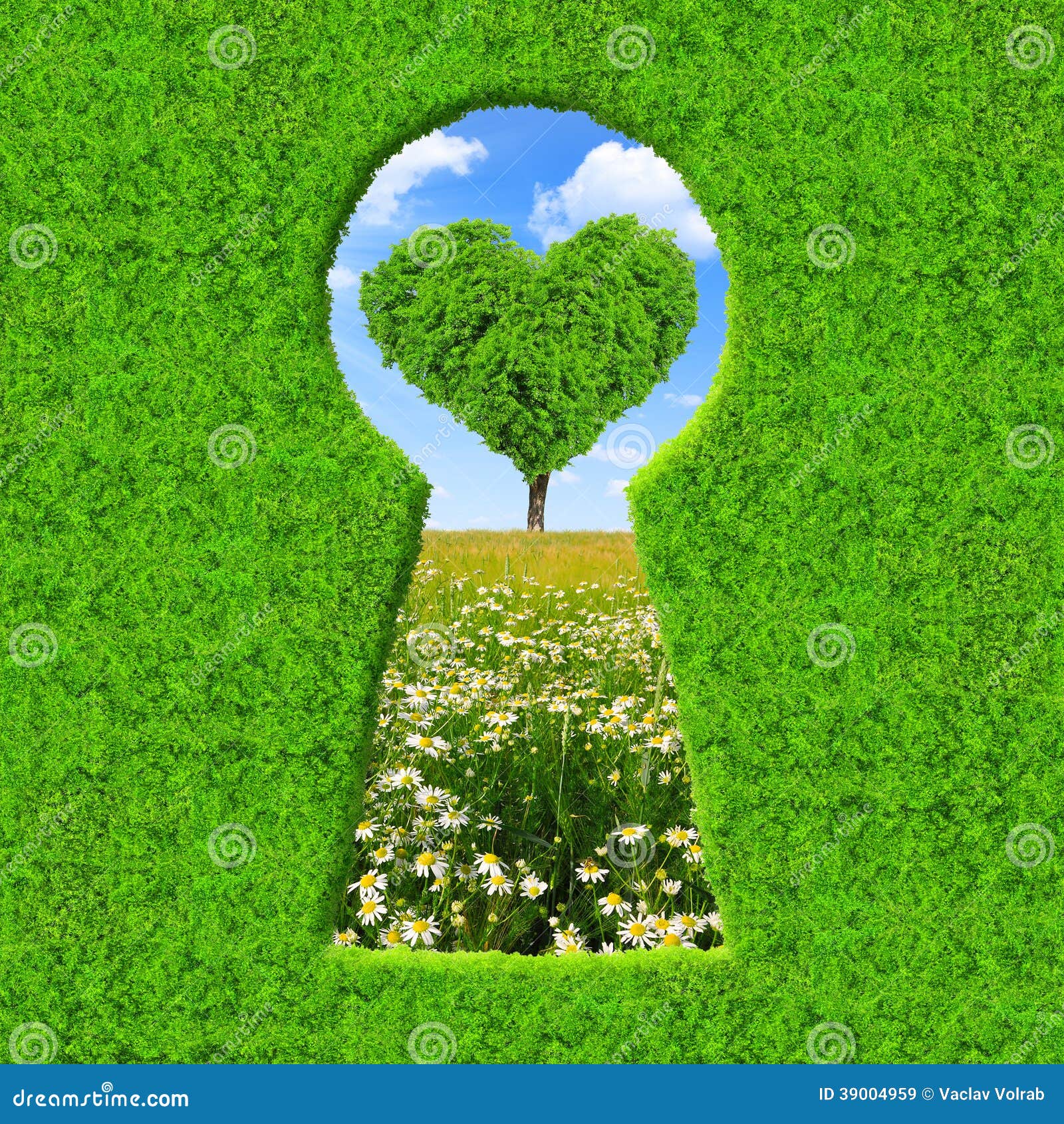 Green keyhole. stock image. Image of protection, open - 39004959