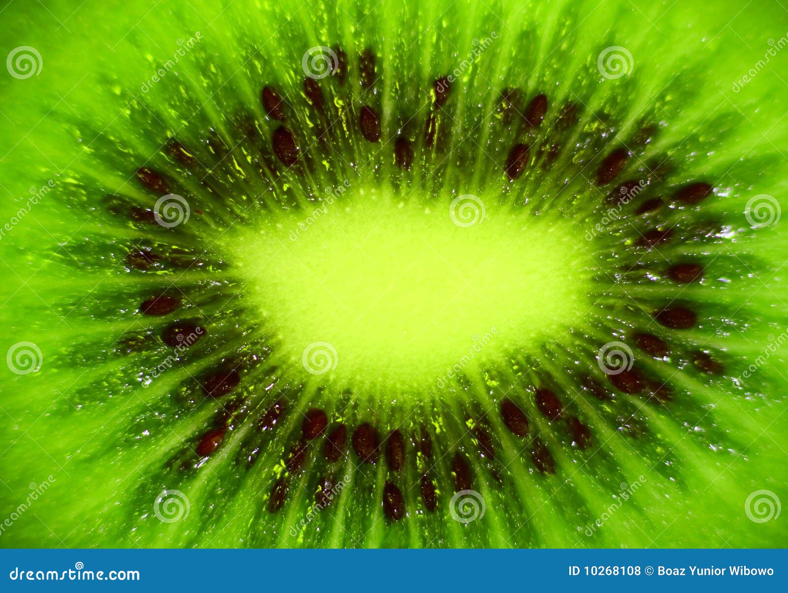 Green Kiwi Fruit stock photo. Image of healthy, sliced - 10268108