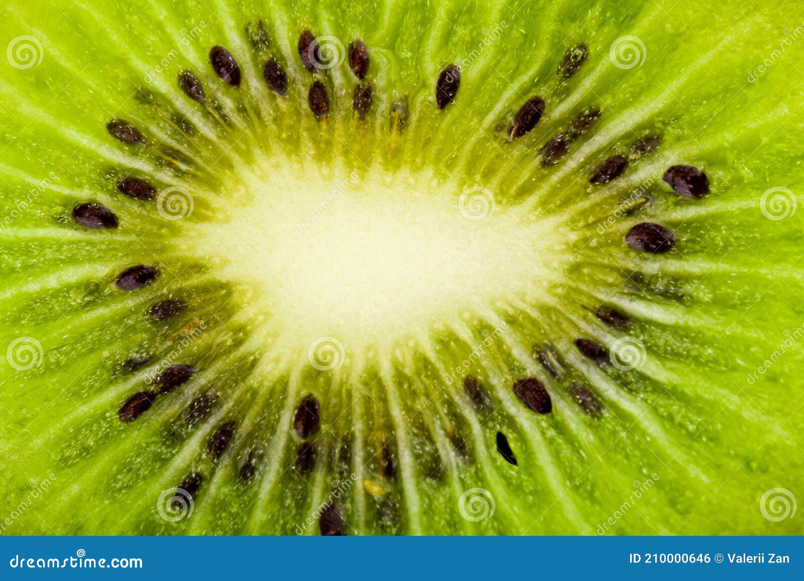 Kiwi Texture Stock Image | CartoonDealer.com #8101249