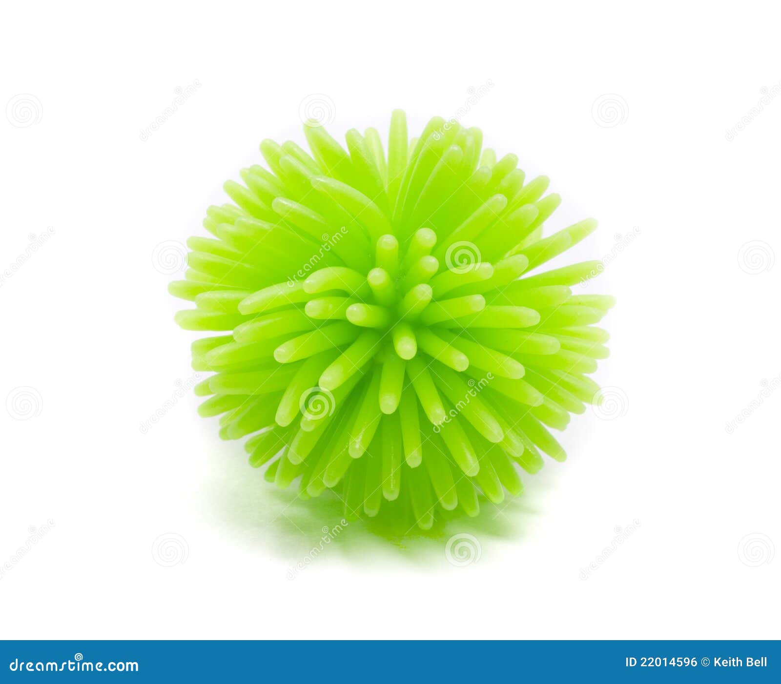 Green Koosh Ball stock photo. Image of spikes, koosh - 22014596