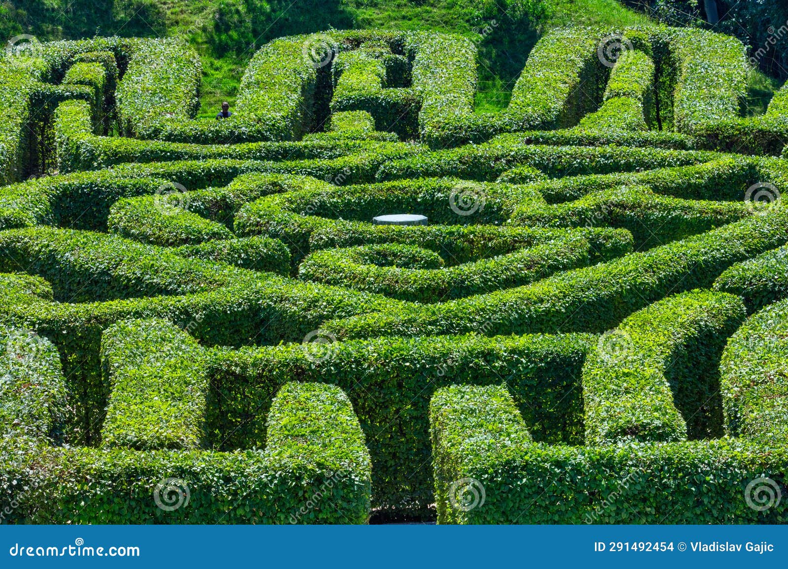 Green Labyrinth in the Park in Innsbruck Editorial Stock Image - Image ...