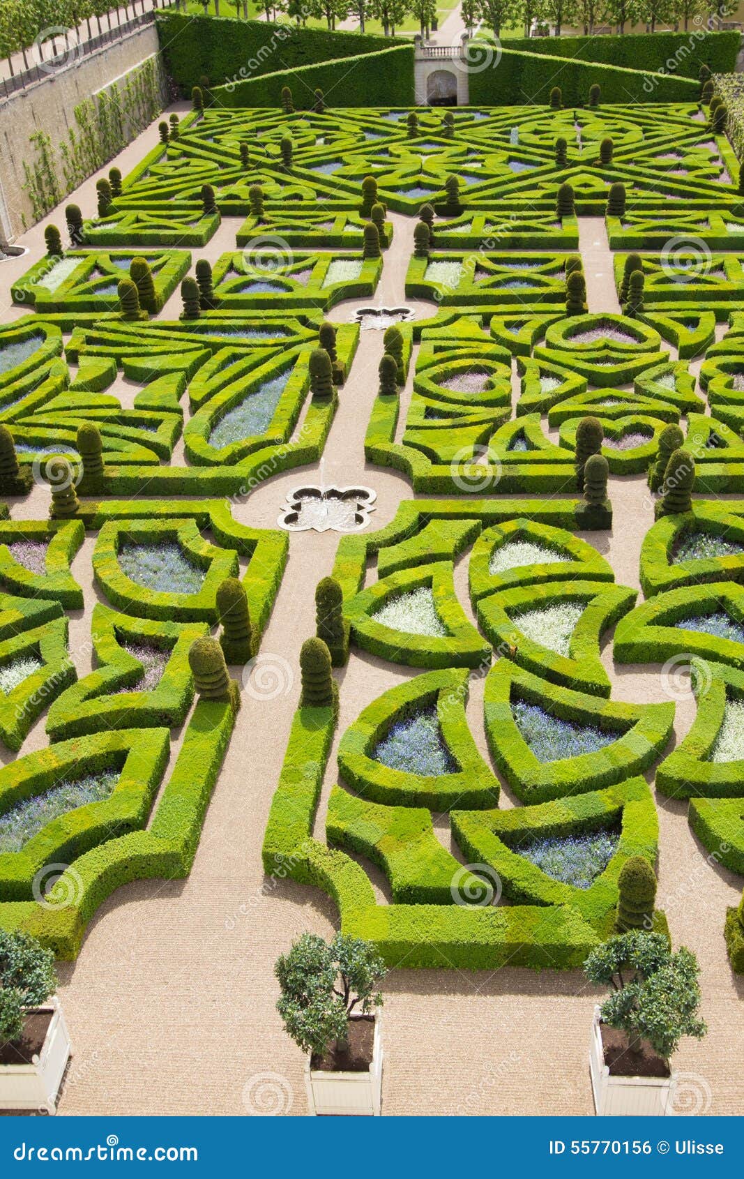 Green labyrinth stock photo. Image of complication, grass - 55770156