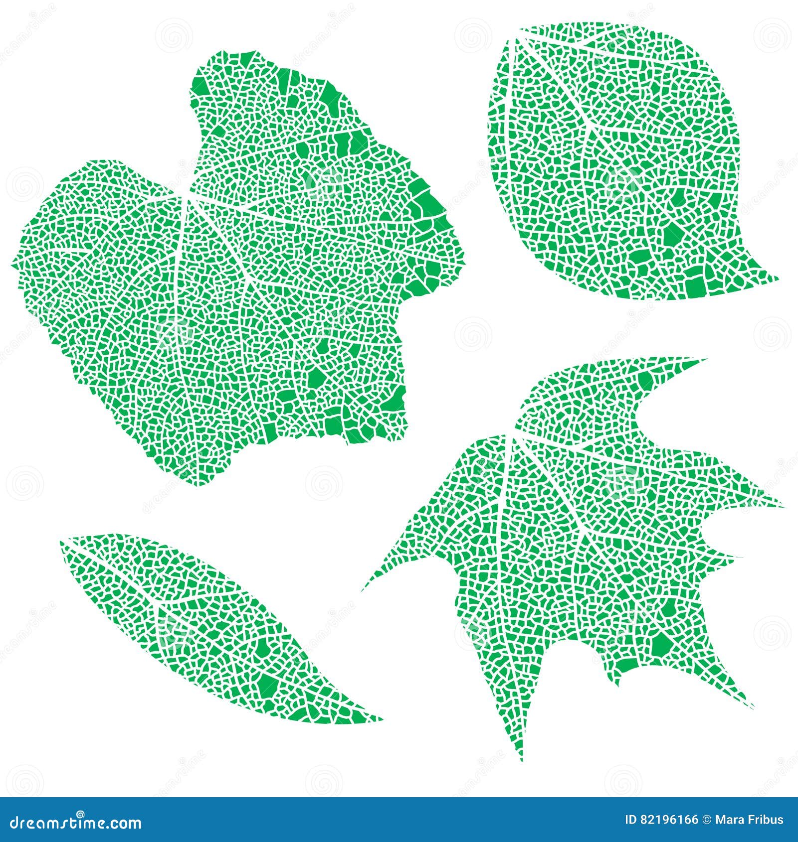 Green lace leaves stock vector. Illustration of variety - 82196166