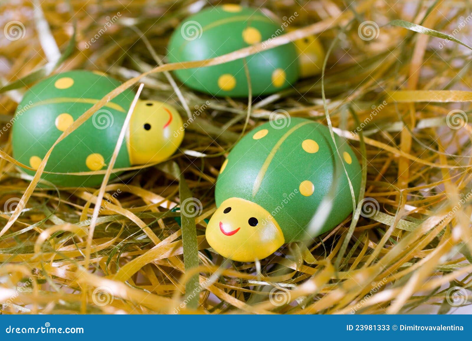 Green ladybugs stock image. Image of healthy, colorful - 23981333