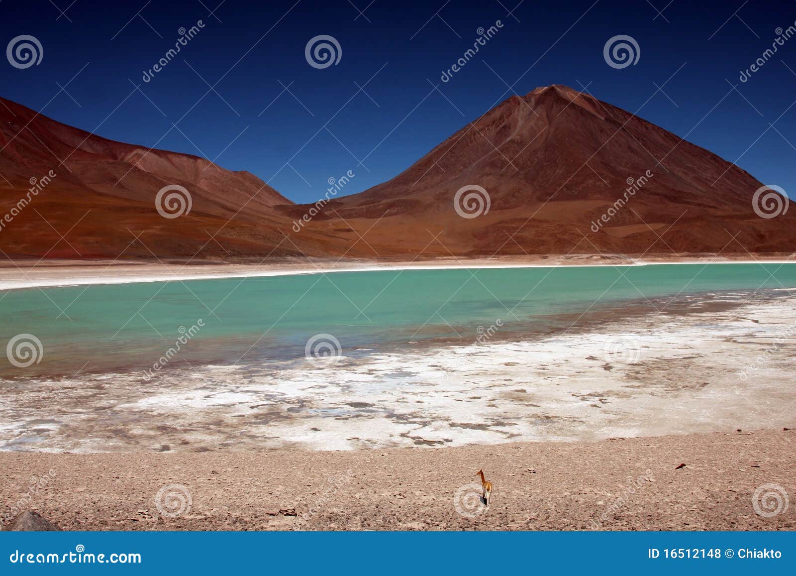 Green lagoon in bolivia stock photo. Image of colored - 16512148