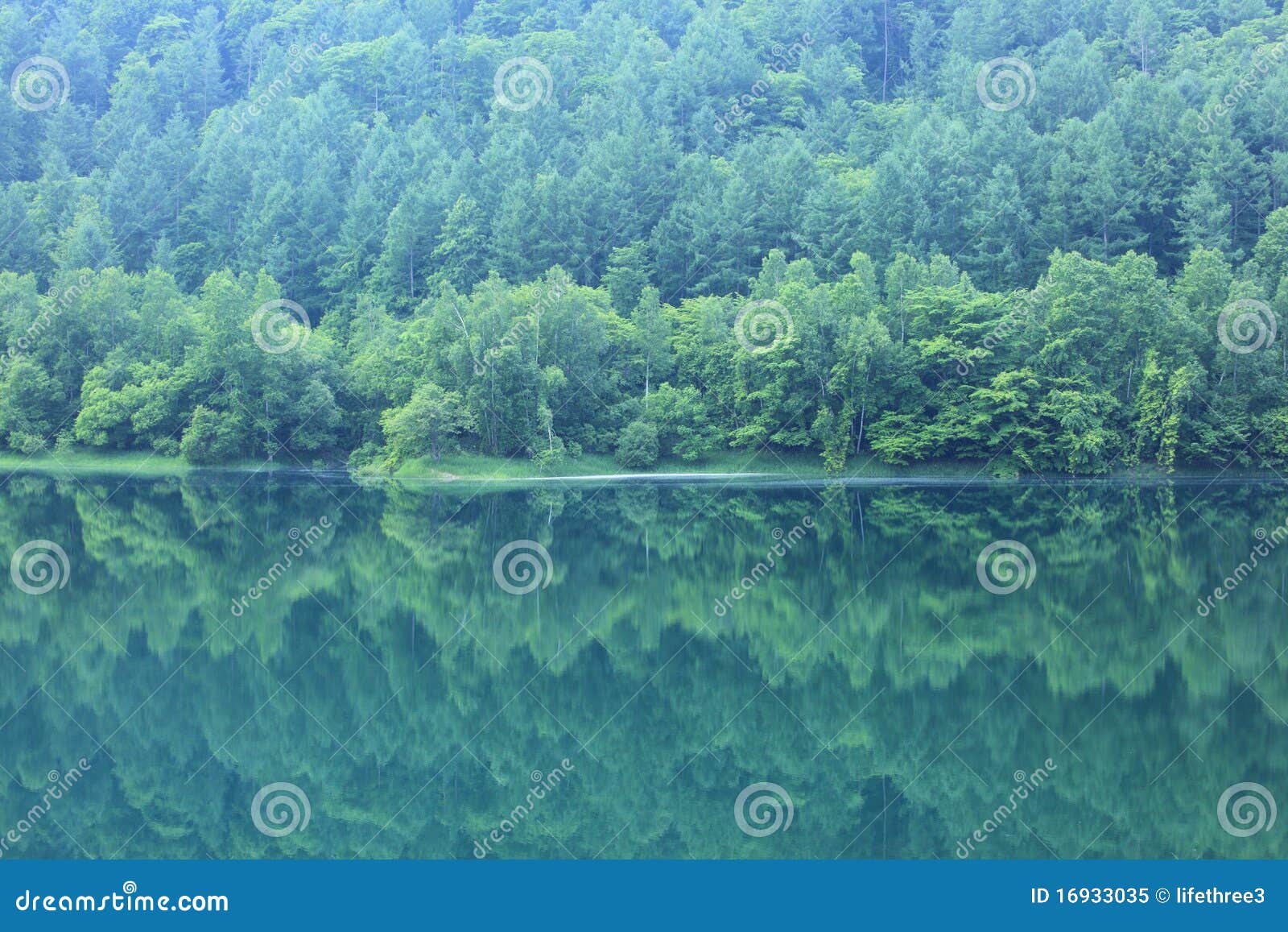 Green lake stock image. Image of reflection, travel, color - 16933035