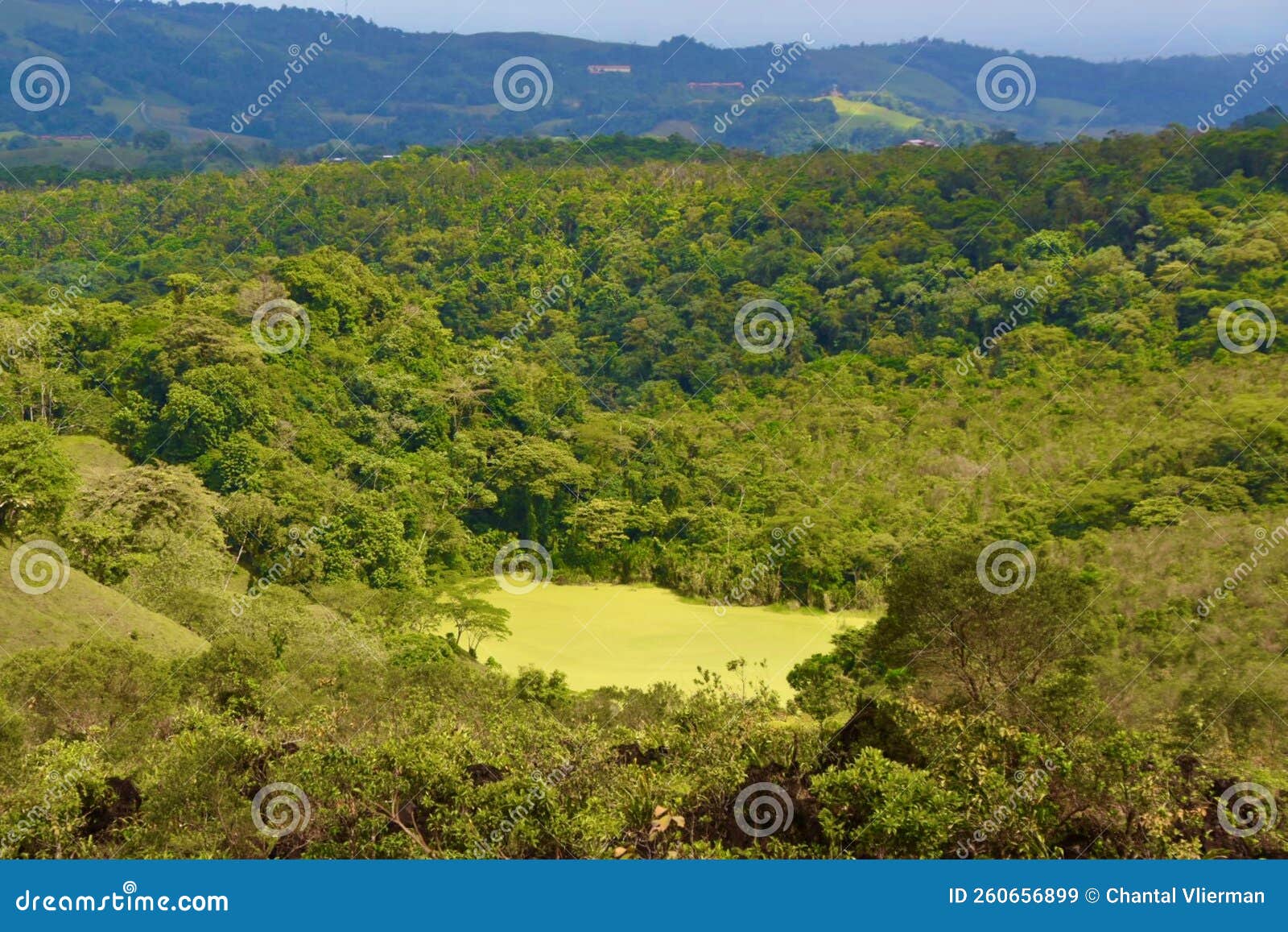 Green Lake in the Forest of Costa Rica Stock Image - Image of lake ...