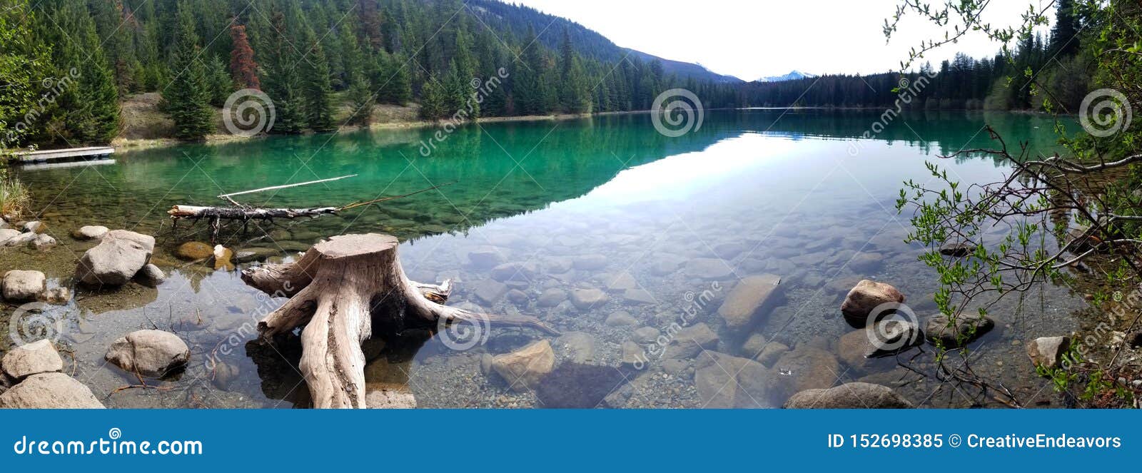 Green Lake with Stump and Forest Valley of Five Lakes Jasper, Alberta ...