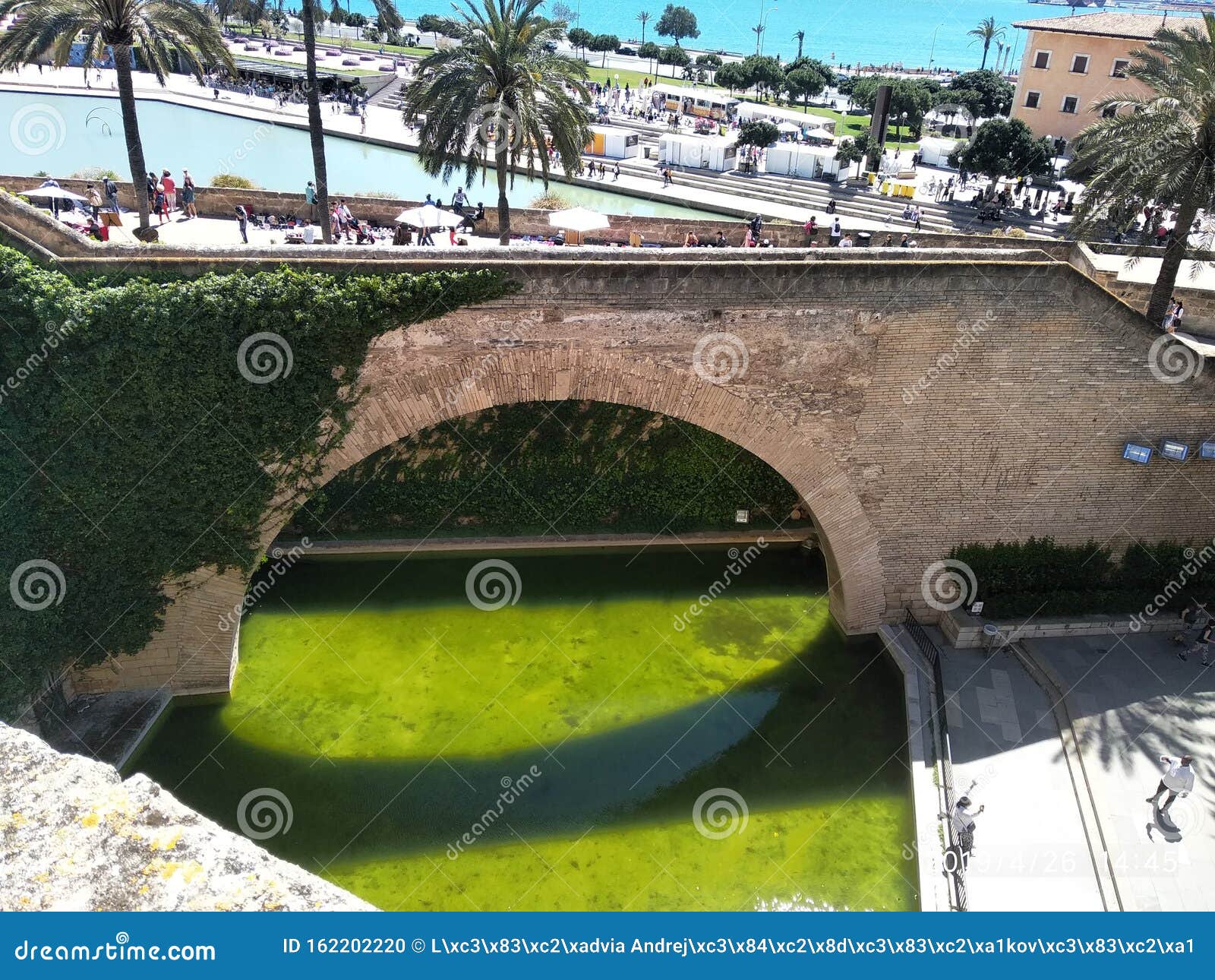 Green Lake Under the Bridge Stock Photo - Image of bridge, palm: 162202220