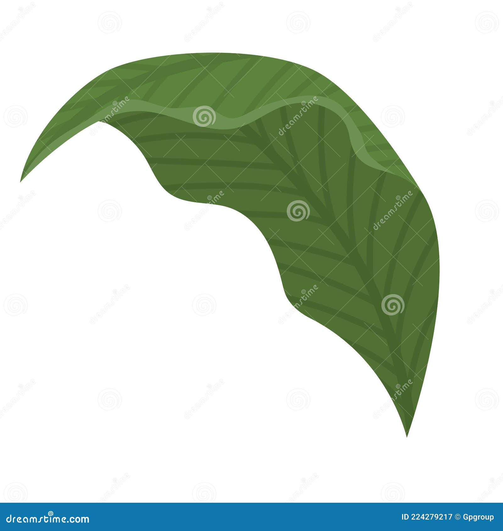 Red Lanceolate Leaf Vector Illustration | CartoonDealer.com #225603686