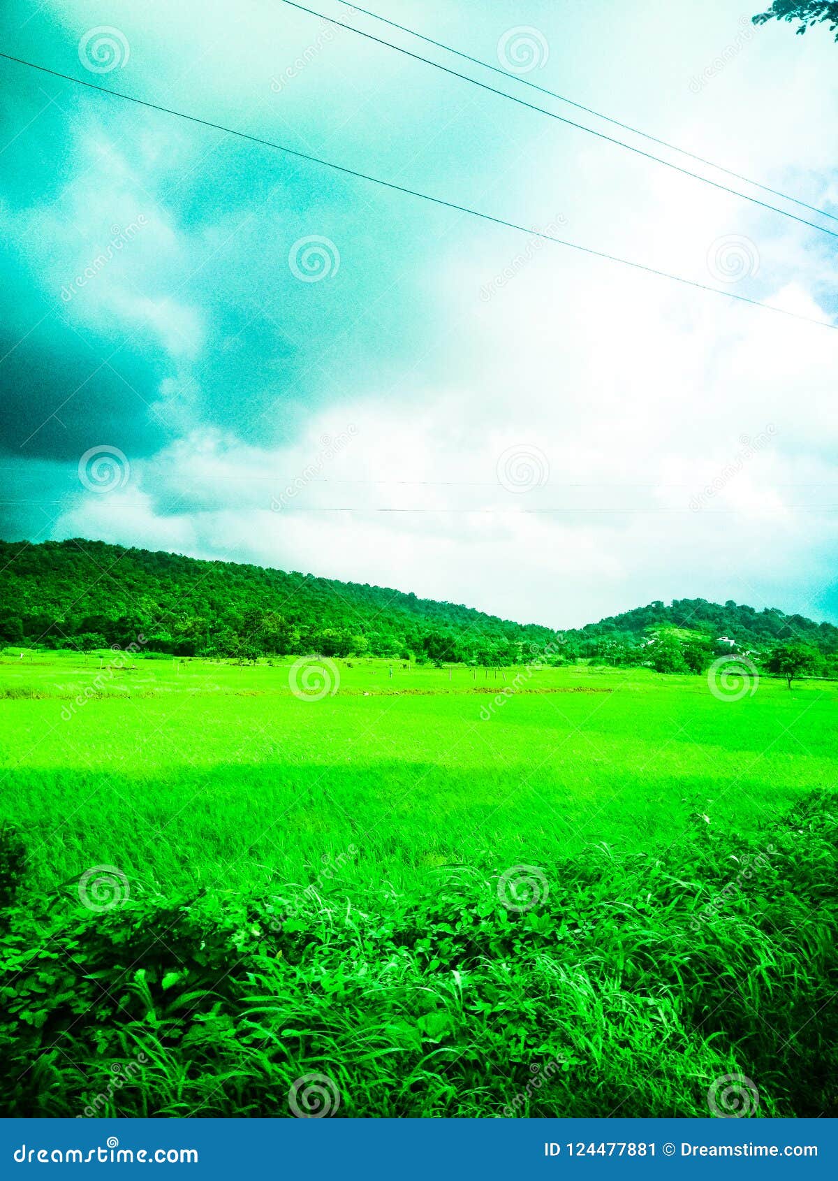 Green land stock image. Image of greenery, land, green - 124477881