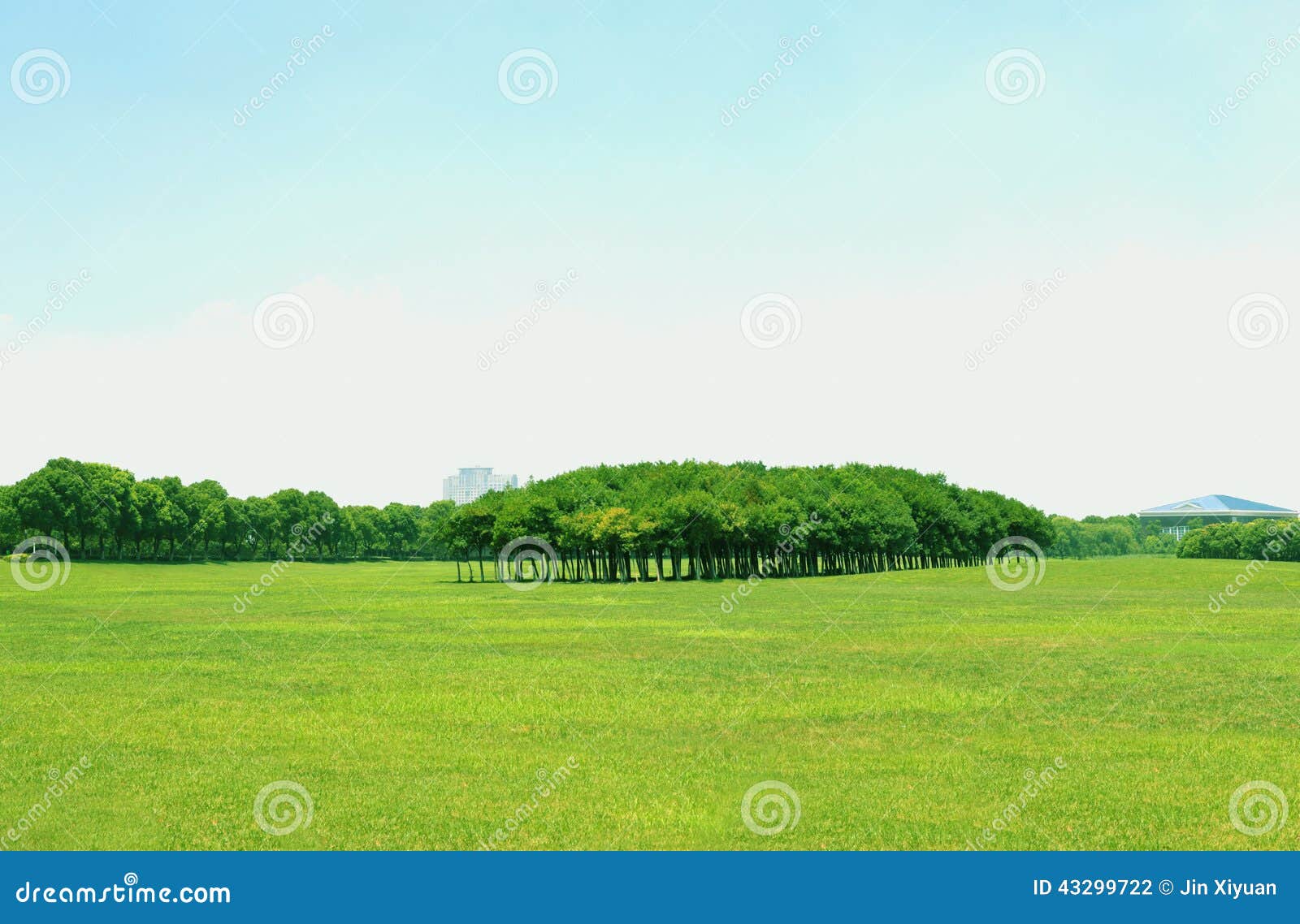 Green land stock photo. Image of outdoor, grass, green - 43299722