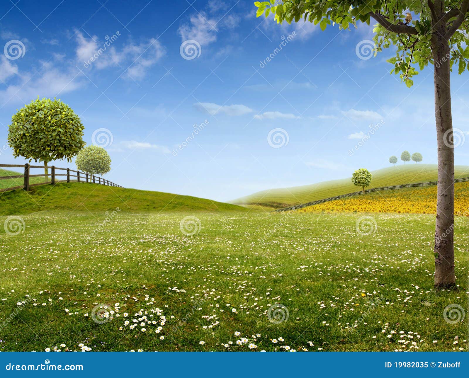 Green Landscape stock image. Image of ground, country - 19982035