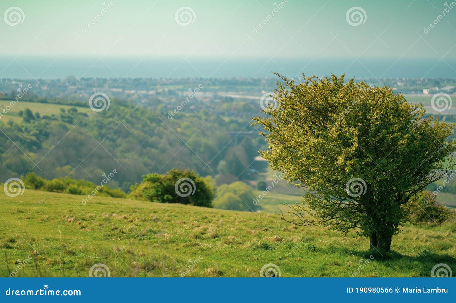 Green Landscape with a Beautiful View Stock Photo - Image of light ...