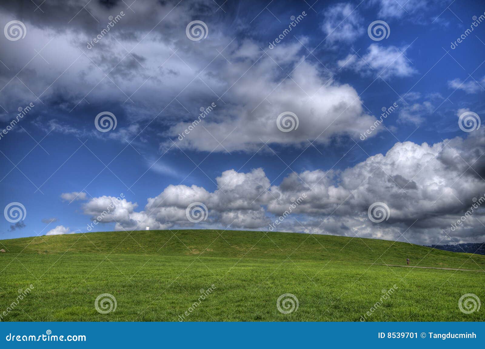 Green Landscape and Blue Sky Stock Image - Image of open, marina: 8539701
