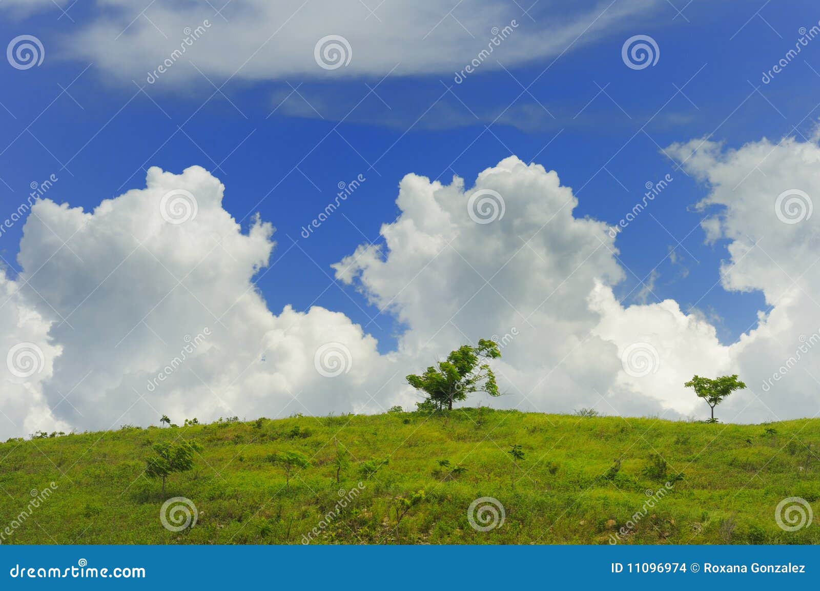 Green Landscape with Clouds Stock Photo - Image of colorful, scenics ...