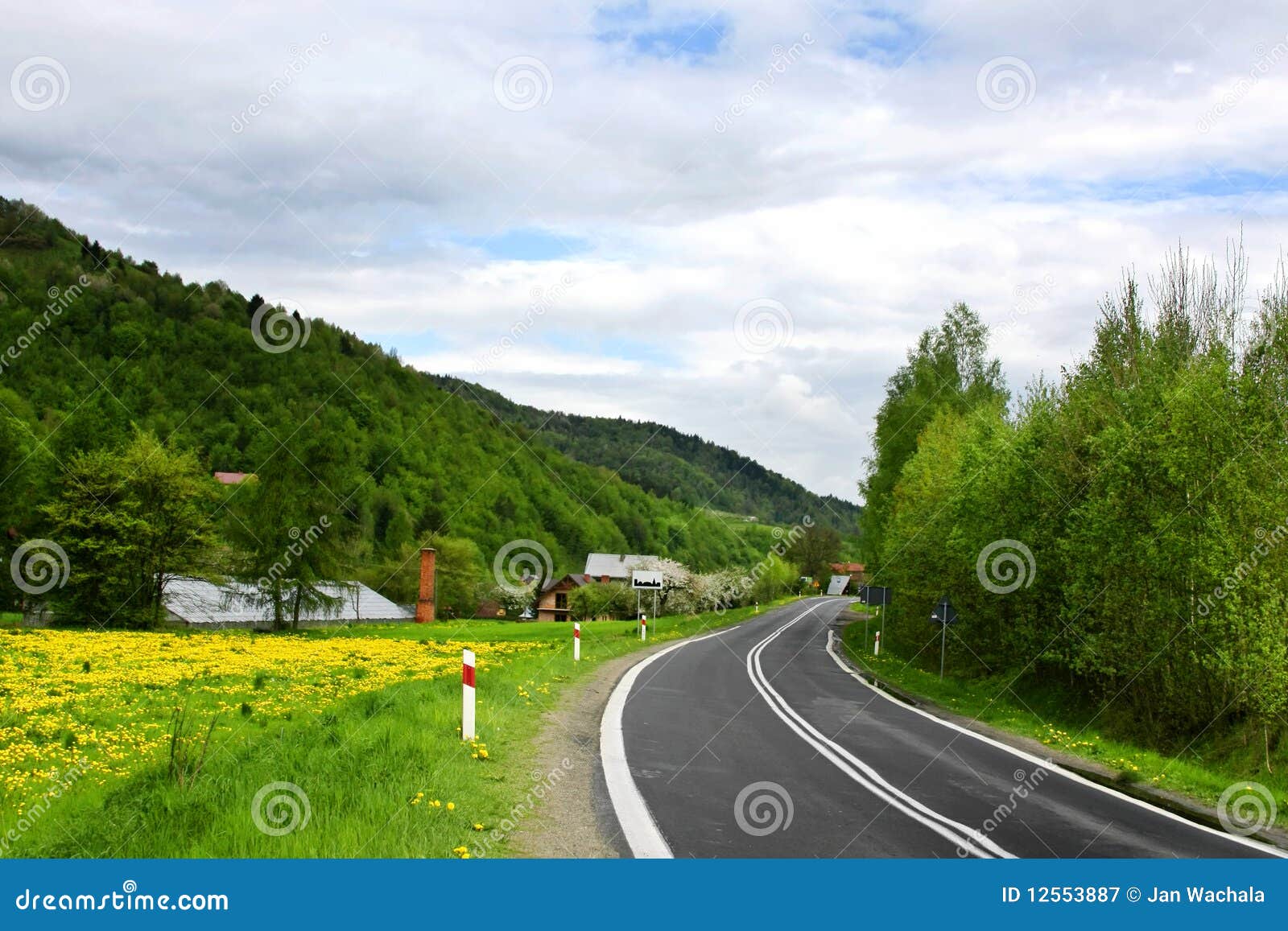 Green Landscape - Country Road Stock Image - Image of markings, freedom ...