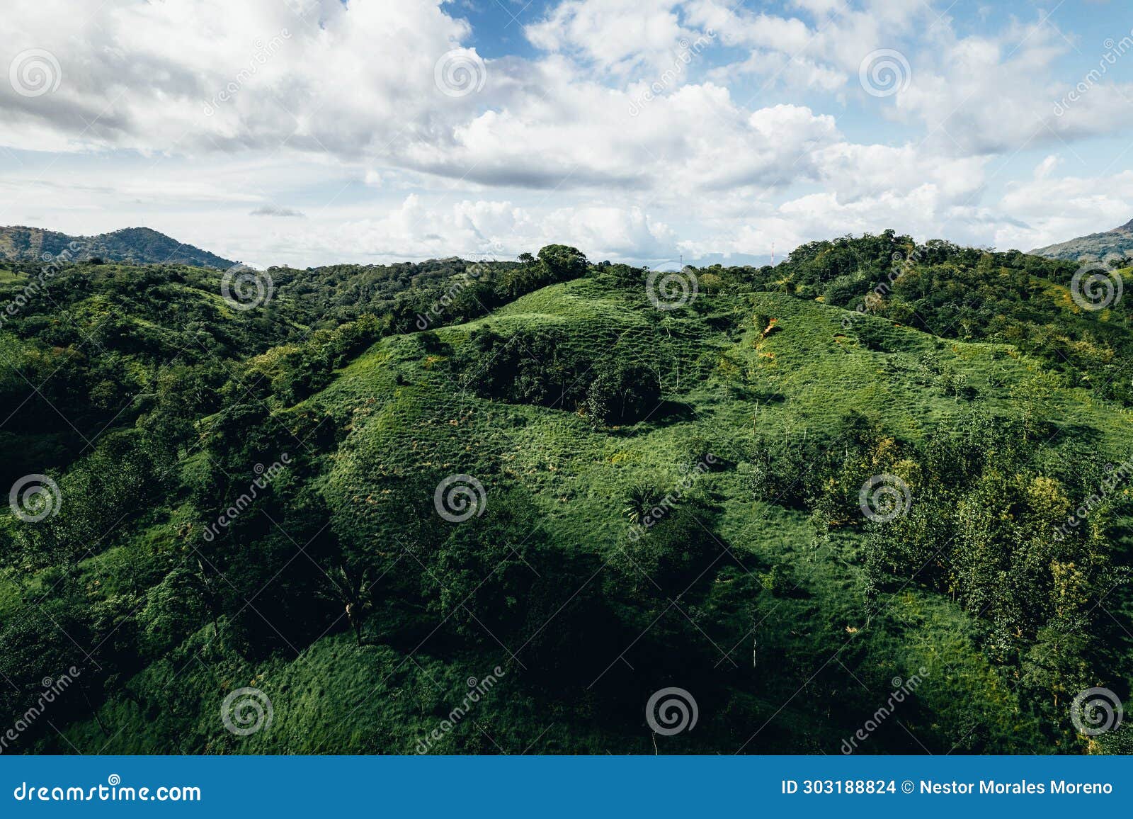 Panama Jungle On Quetzal Trail Stock Photography | CartoonDealer.com ...