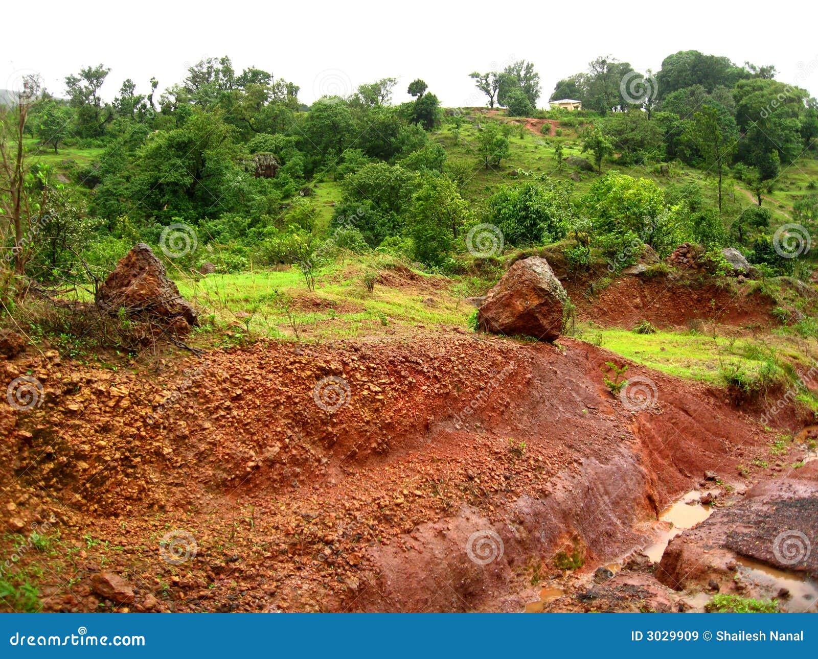 Green Landscape during Monsoon Stock Image - Image of landscape, dirt ...