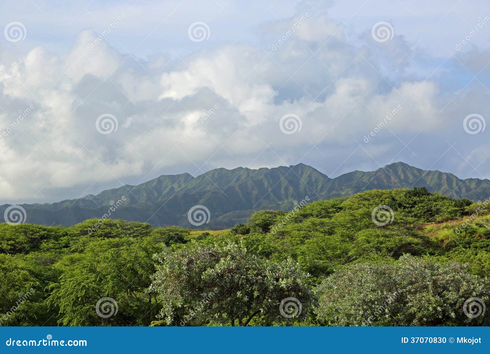 Green landscape of Oahu stock photo. Image of view, scenic - 37070830