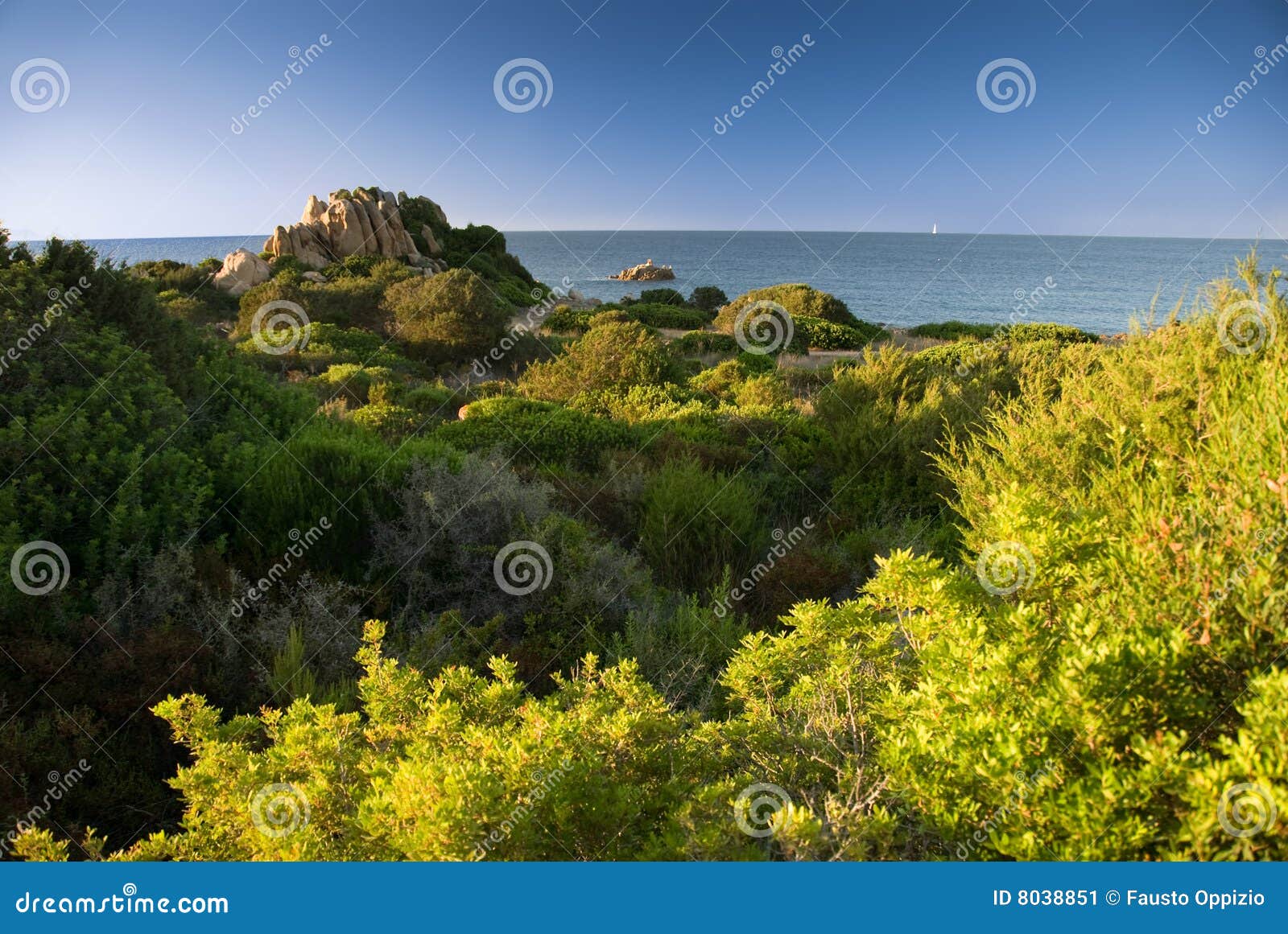 Green Landscape in Sardinia, Italy Stock Image - Image of natural, leaf ...