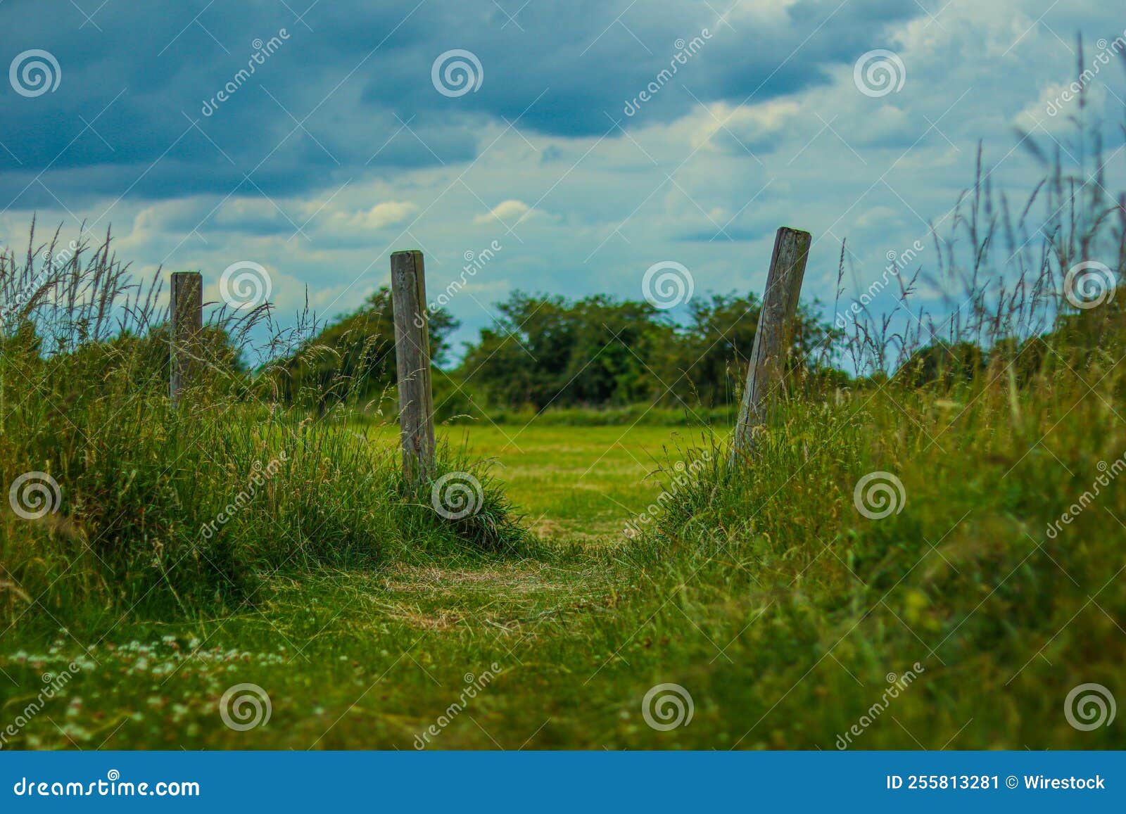 Green Landscape Three Wooden Posts Stock Image - Image of background ...