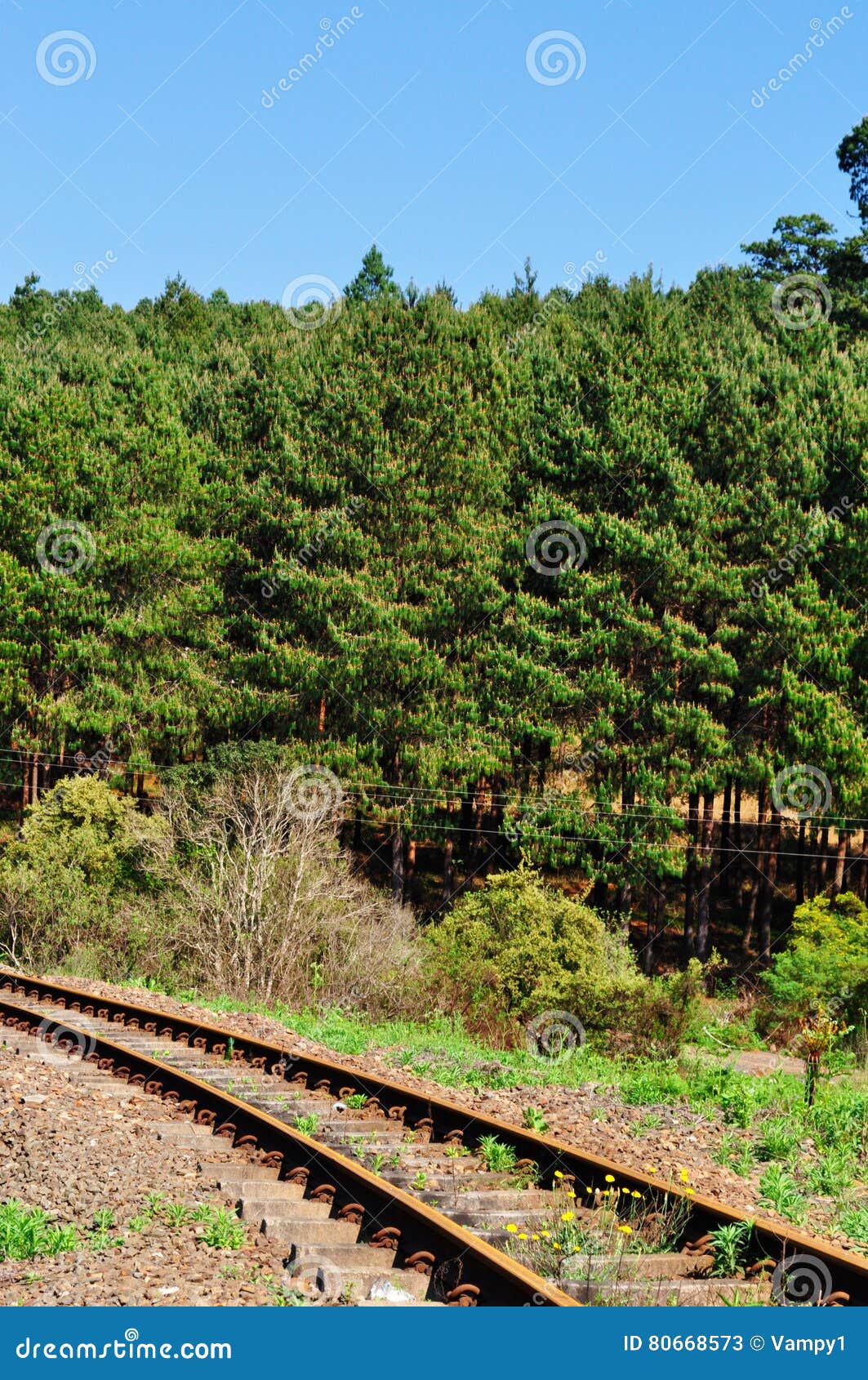 Green Landscape, a Train Track in the Countryside Stock Image - Image ...