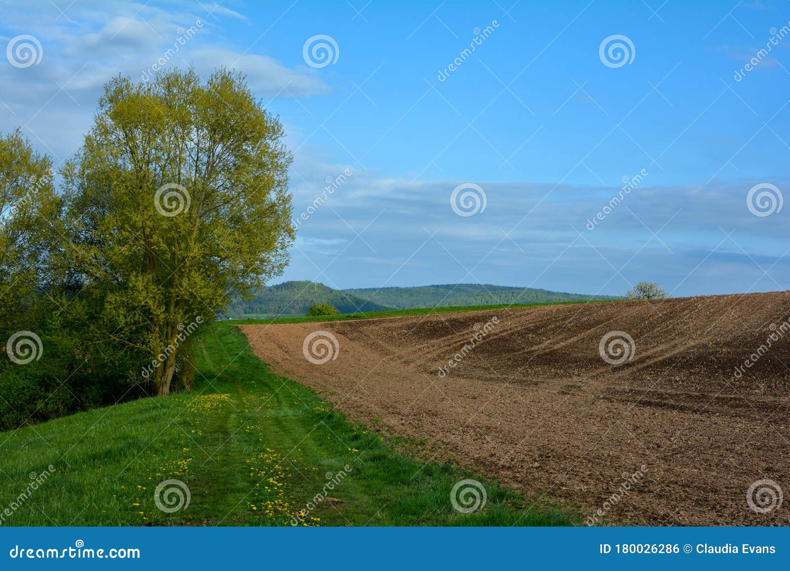 Green Landscape with Trees and a Field Stock Photo - Image of farmer ...