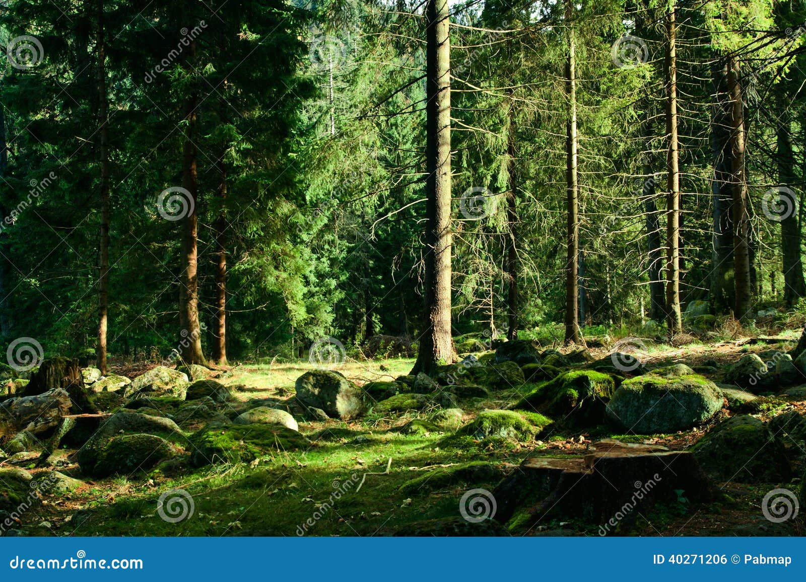 Green landscape with trees stock photo. Image of trees - 40271206