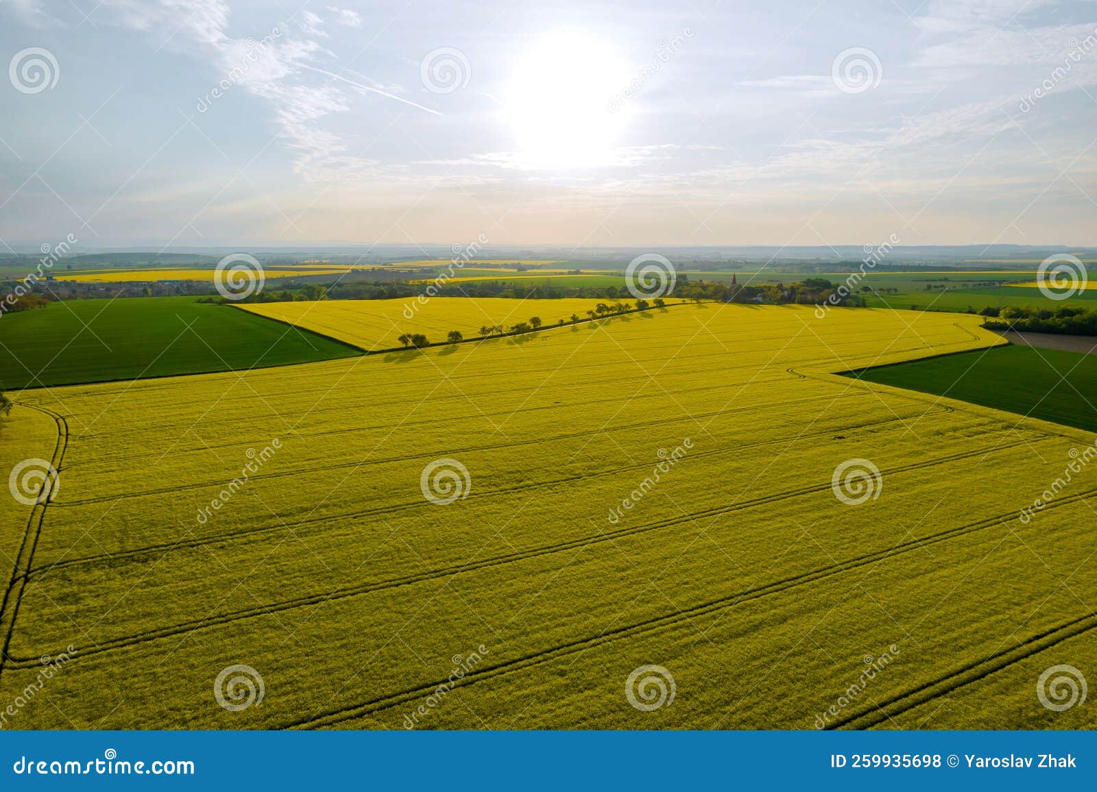 Green Large Fields, Tracks from a Tractor in the Field. Stock Photo ...