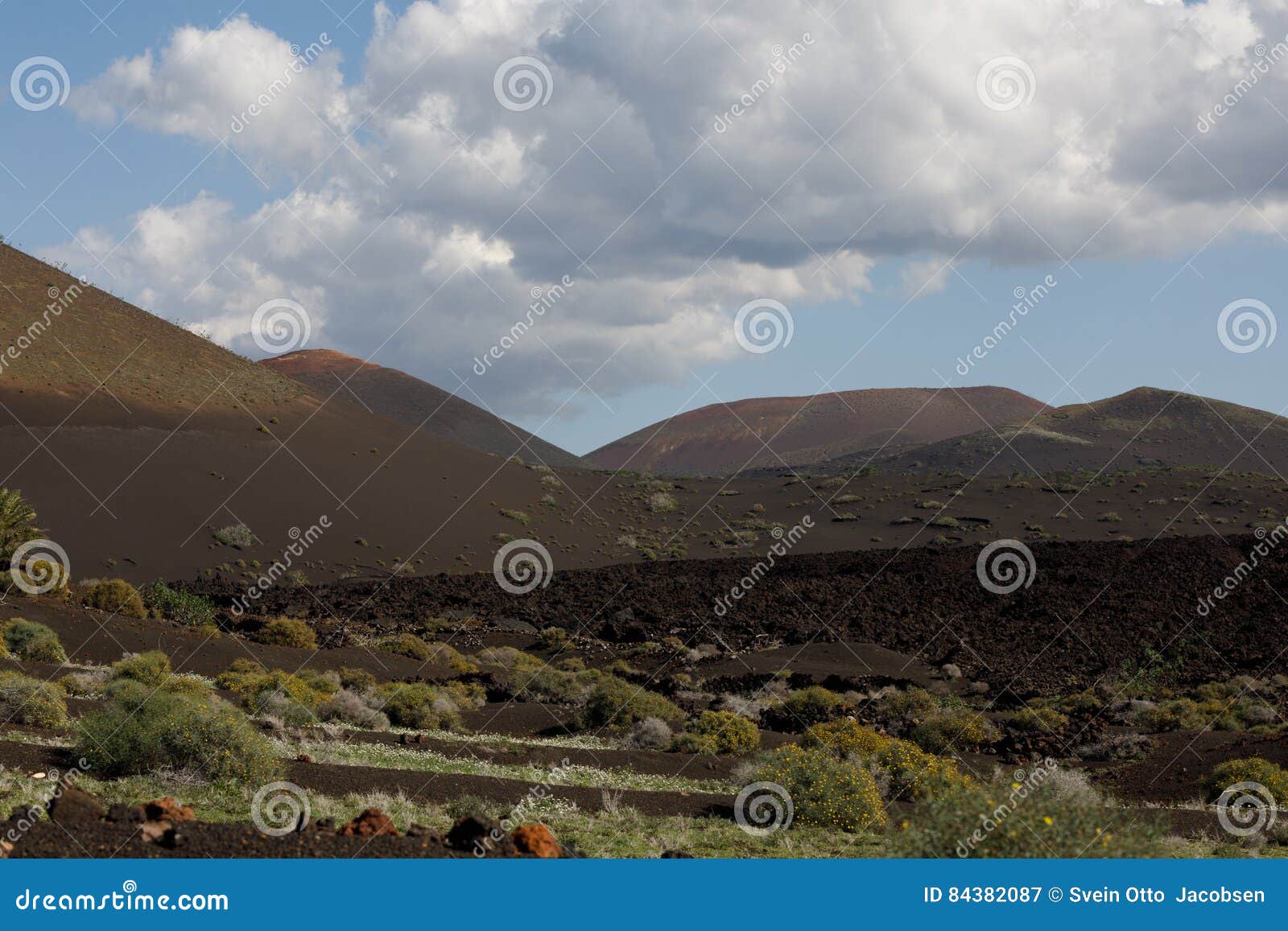 Green lava landscape stock image. Image of spain, destination - 84382087