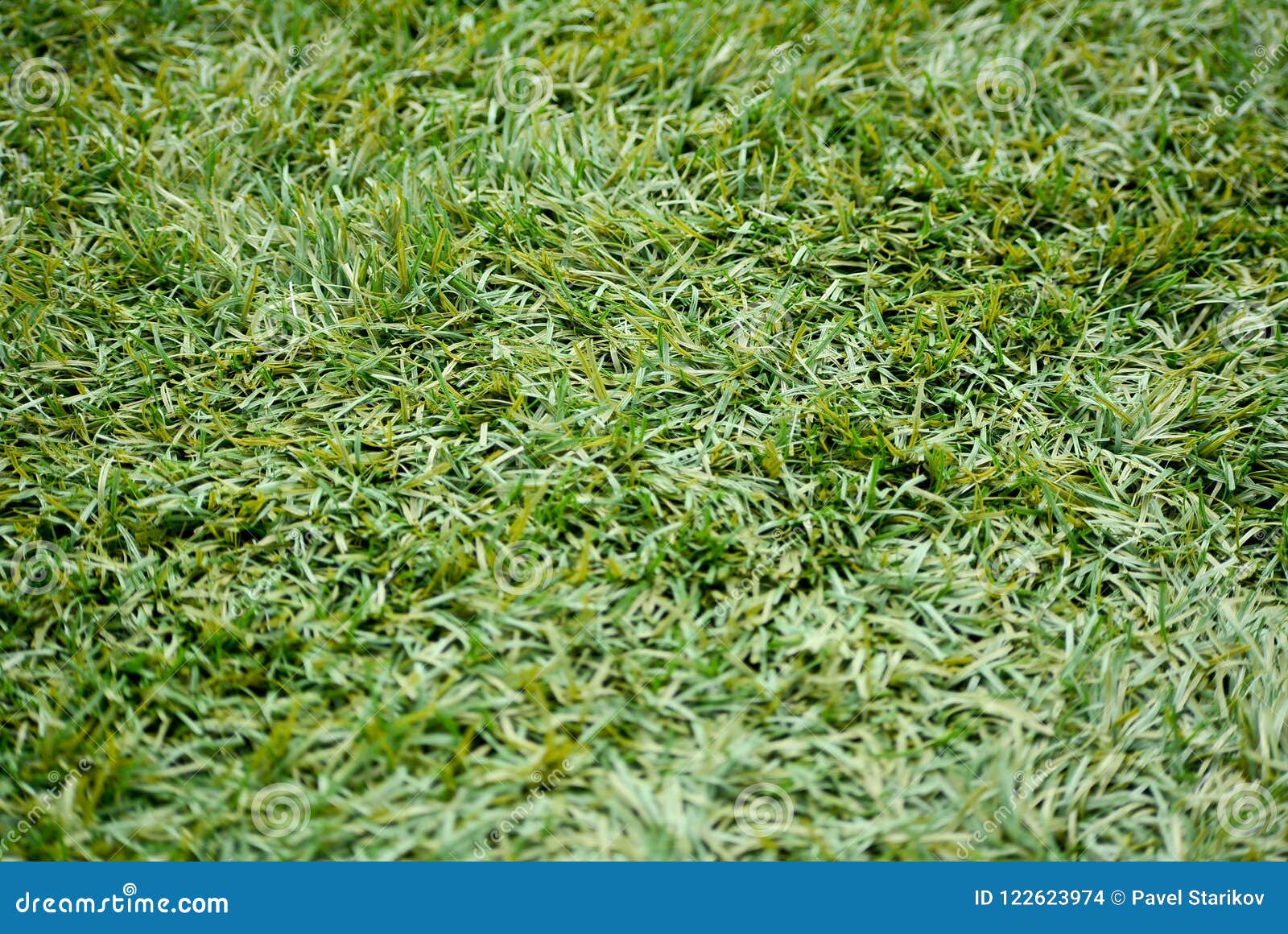 Backyard for background stock photo. Image of ground - 122623974