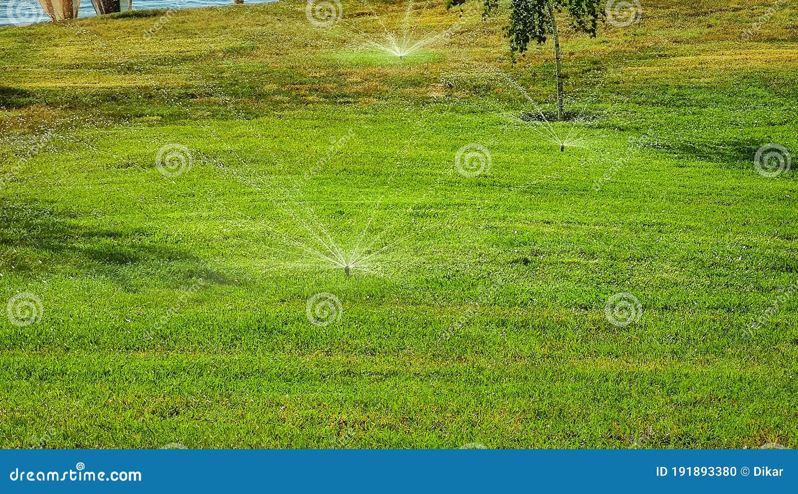 The Green Lawn is Being Watered Stock Photo - Image of park, nature ...
