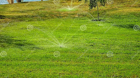 The Green Lawn is Being Watered Stock Photo - Image of park, nature ...