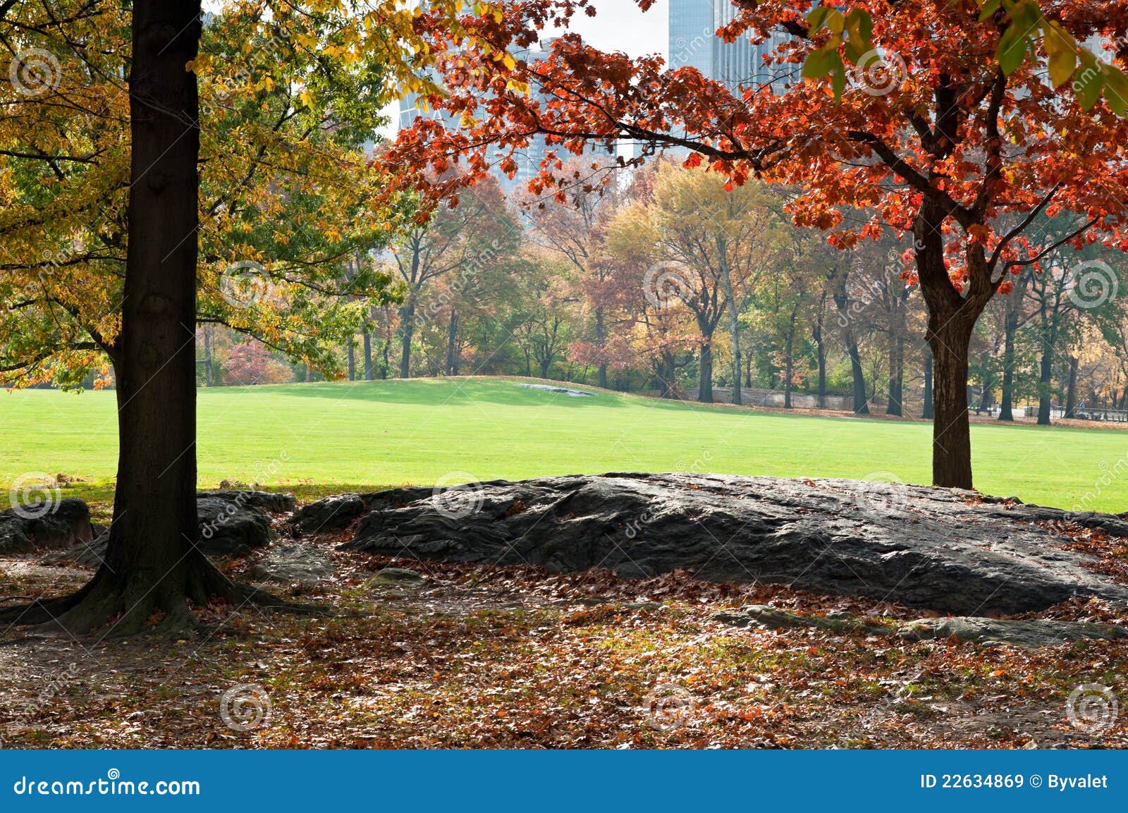Green lawn in Central Park stock image. Image of park - 22634869