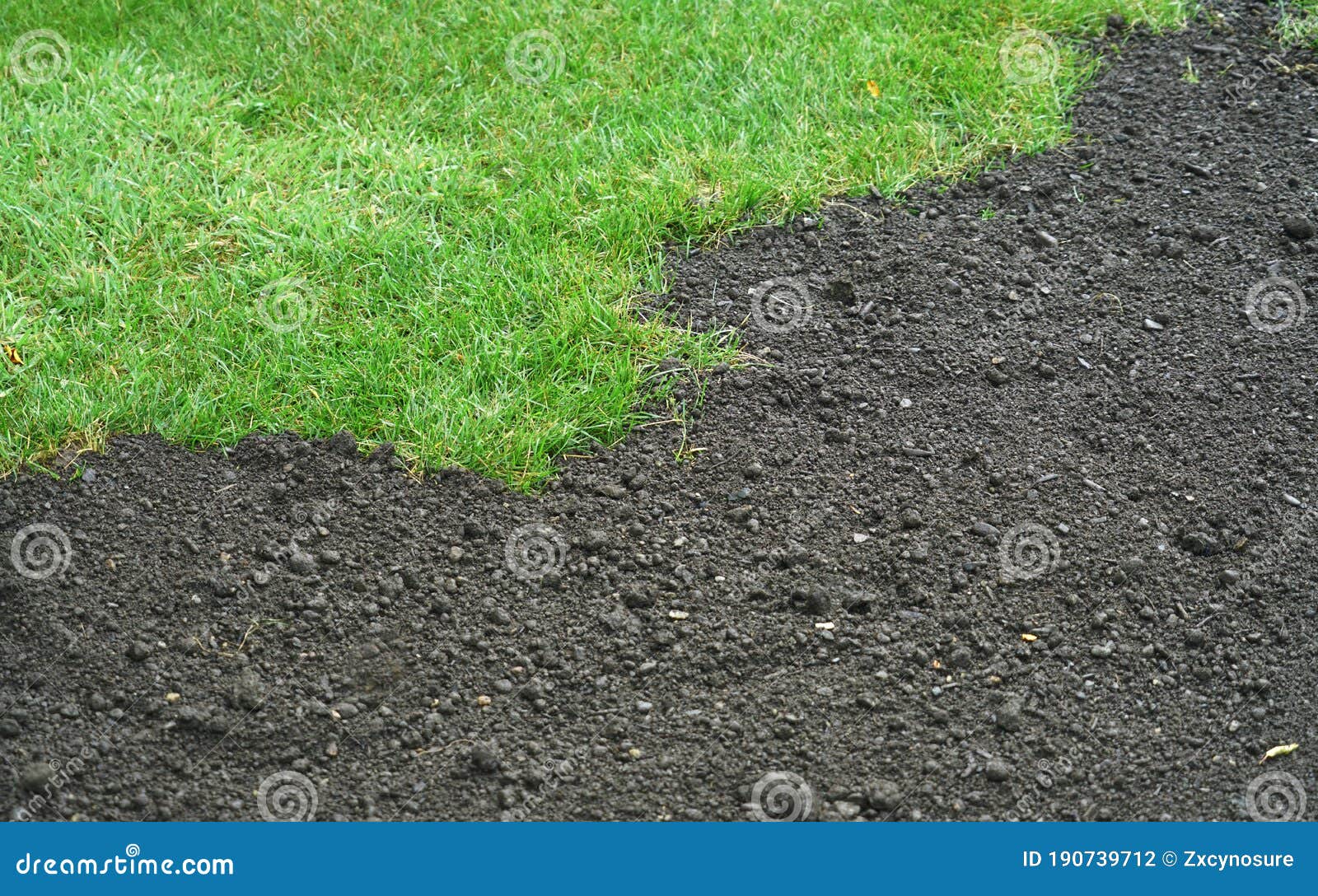 Green Lawn and Dirt for New Lawn Stock Photo - Image of fresh, soil ...