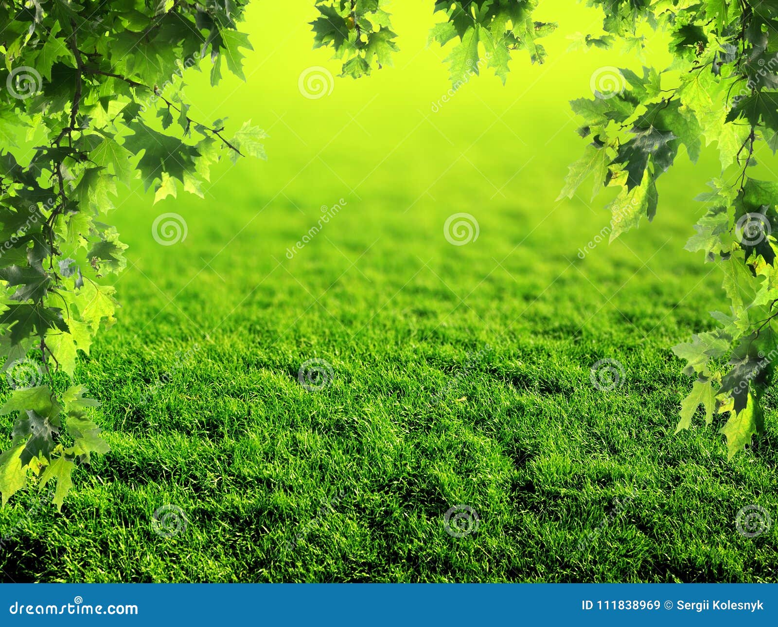 Lawn in the spring stock image. Image of landscape, ground - 111838969