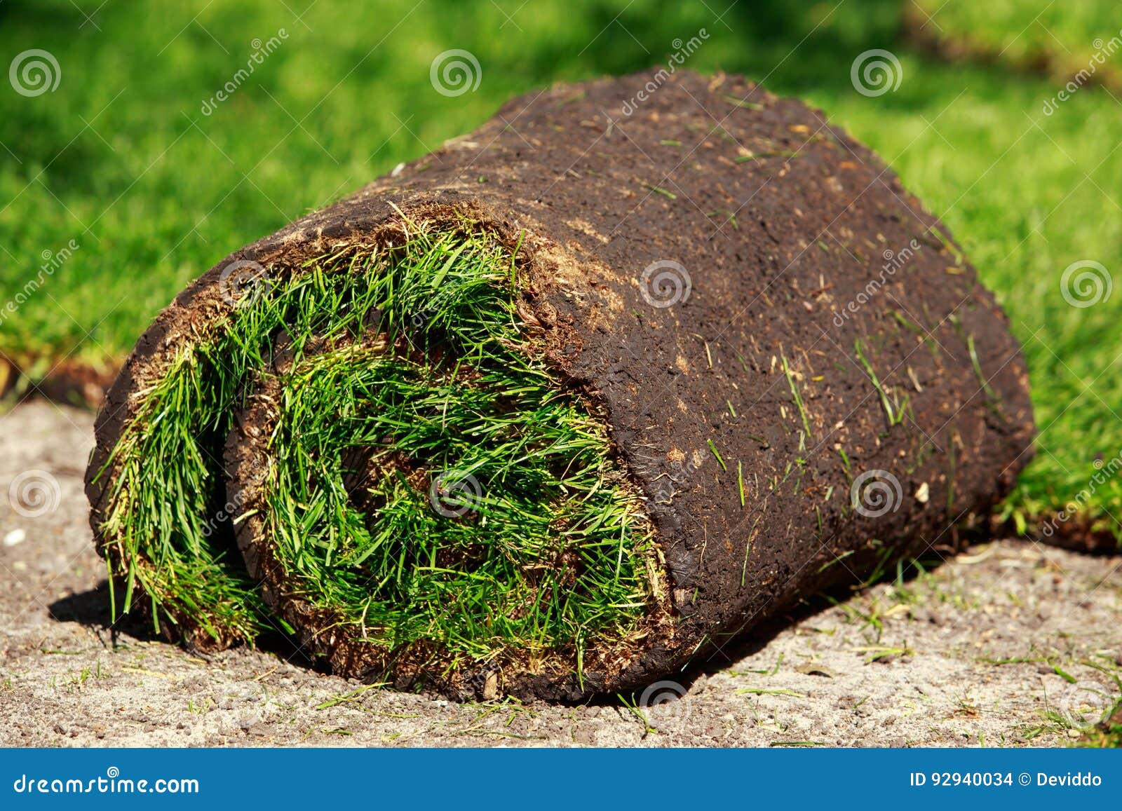 Green lawn grass in rolls stock photo. Image of peeled - 92940034
