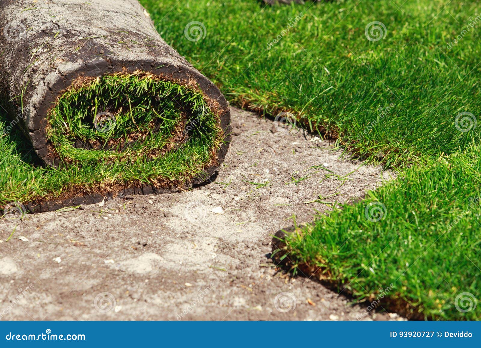 Green lawn grass in rolls stock image. Image of space - 93920727