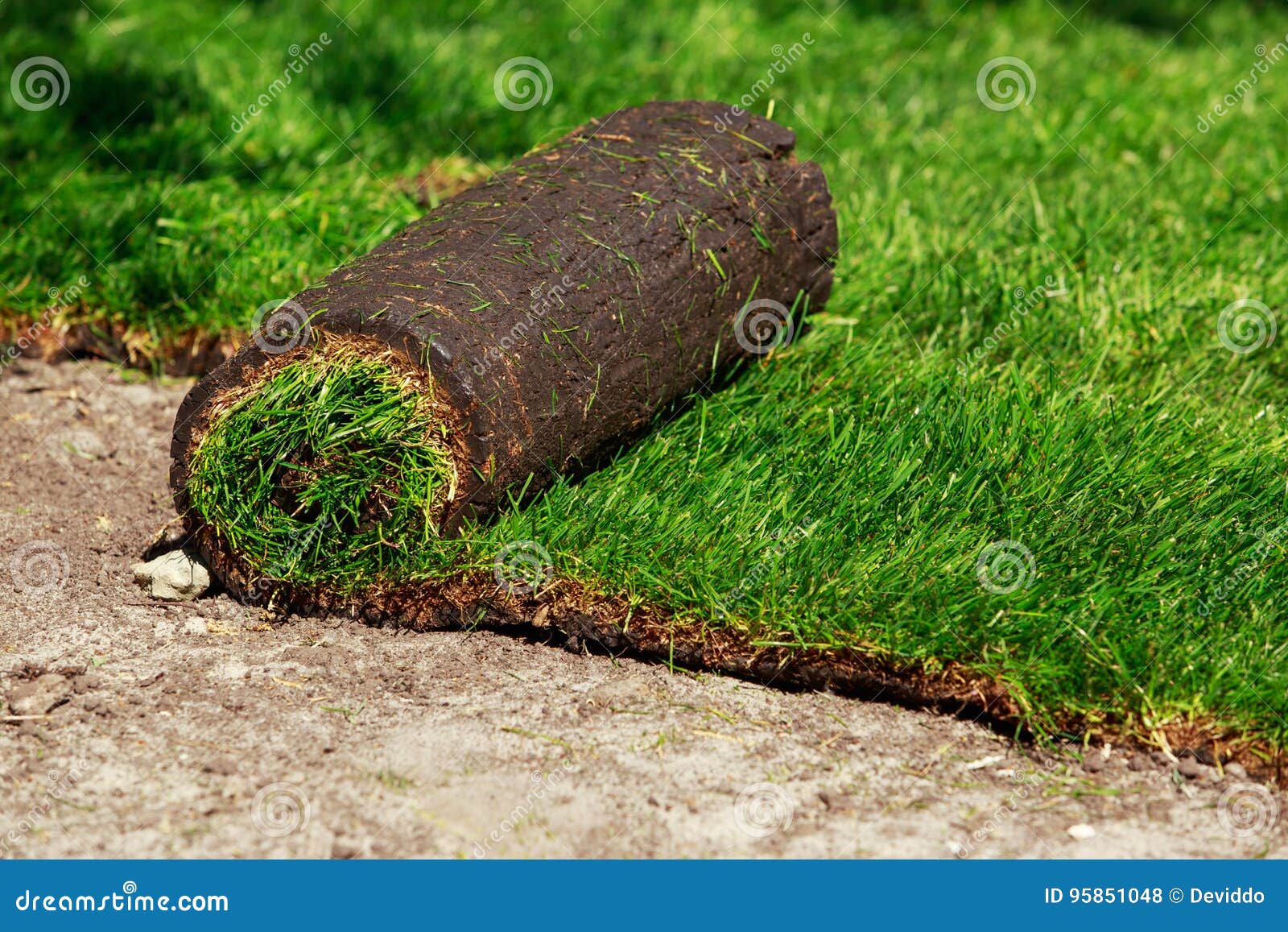 Green lawn grass in rolls stock photo. Image of fresh - 95851048