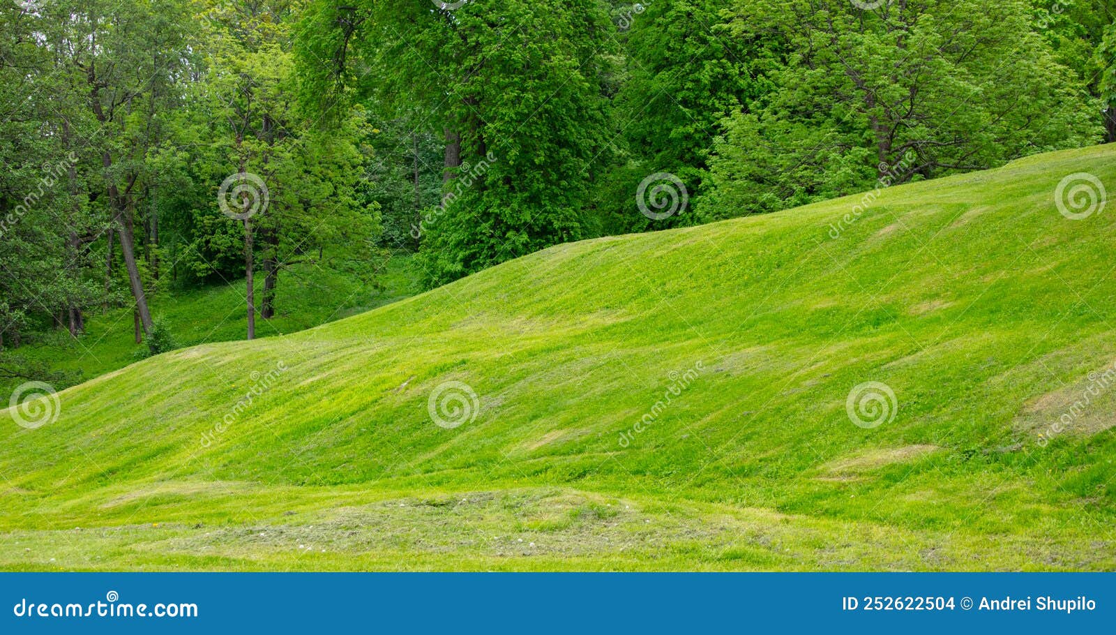 Green Lawn on a Hill in the Park. Stock Photo - Image of environment ...