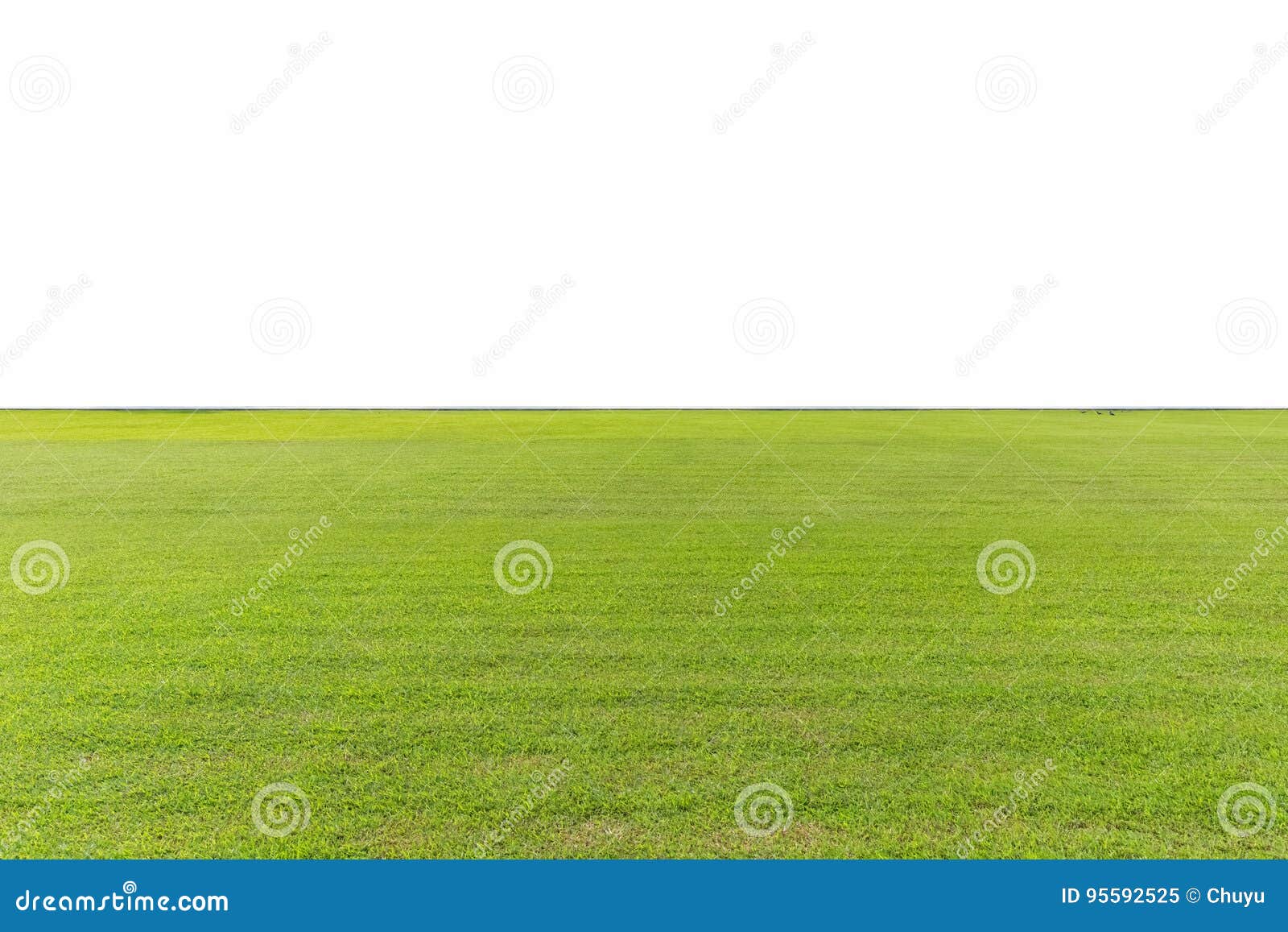 Green lawn isolated stock image. Image of plant, meadow - 95592525