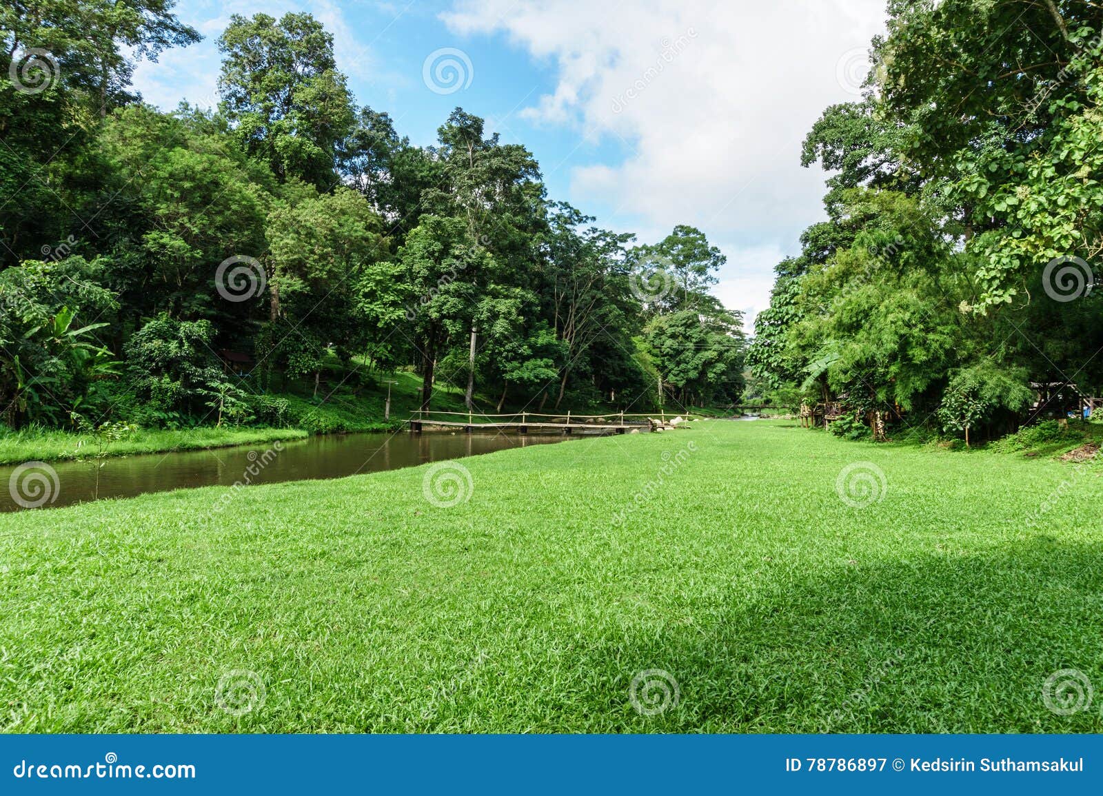 Green Lawn Landscape with Big Tree and Stream River Stock Image - Image ...