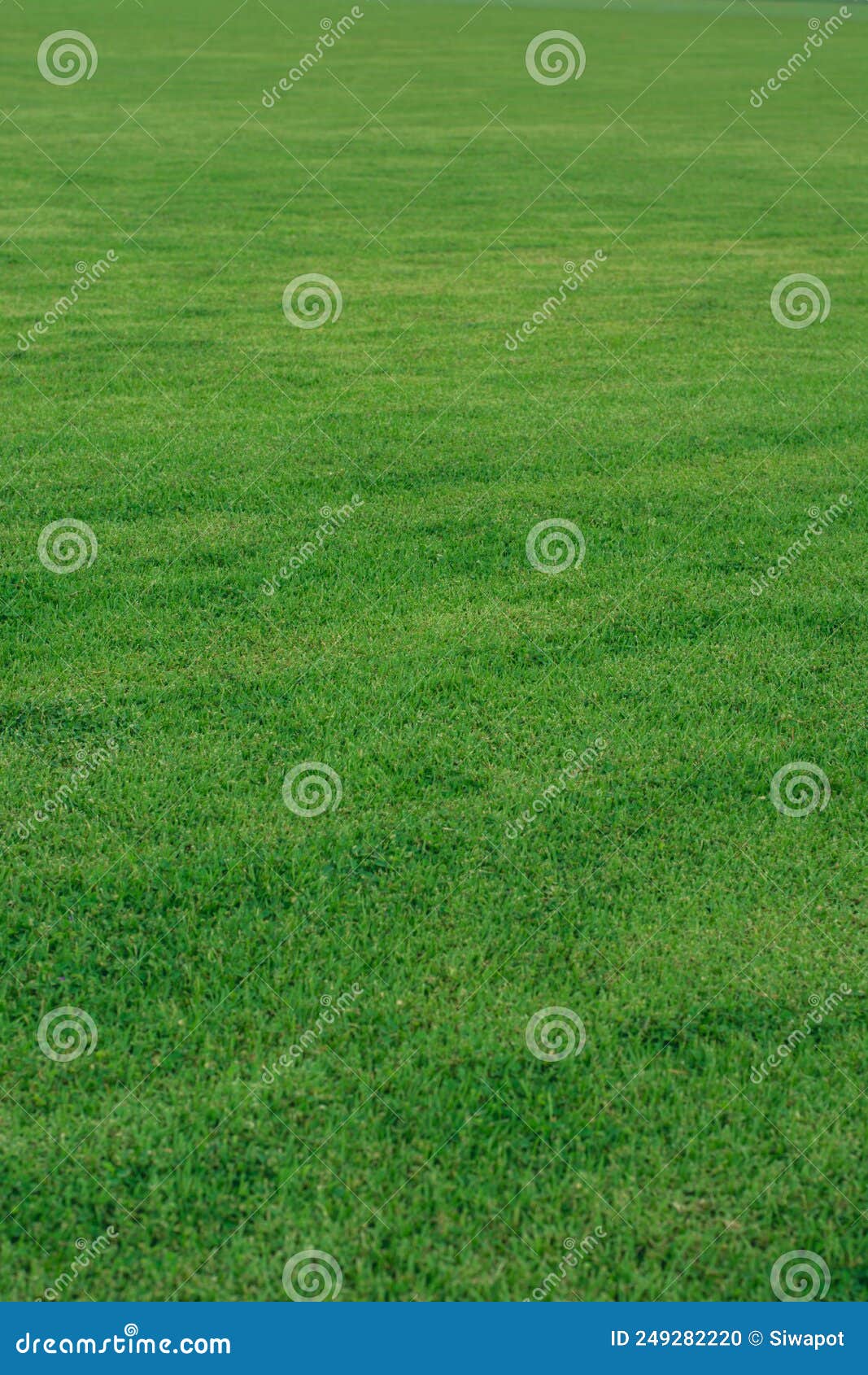 Green Lawn Landscape on Natural Background Stock Photo - Image of game ...