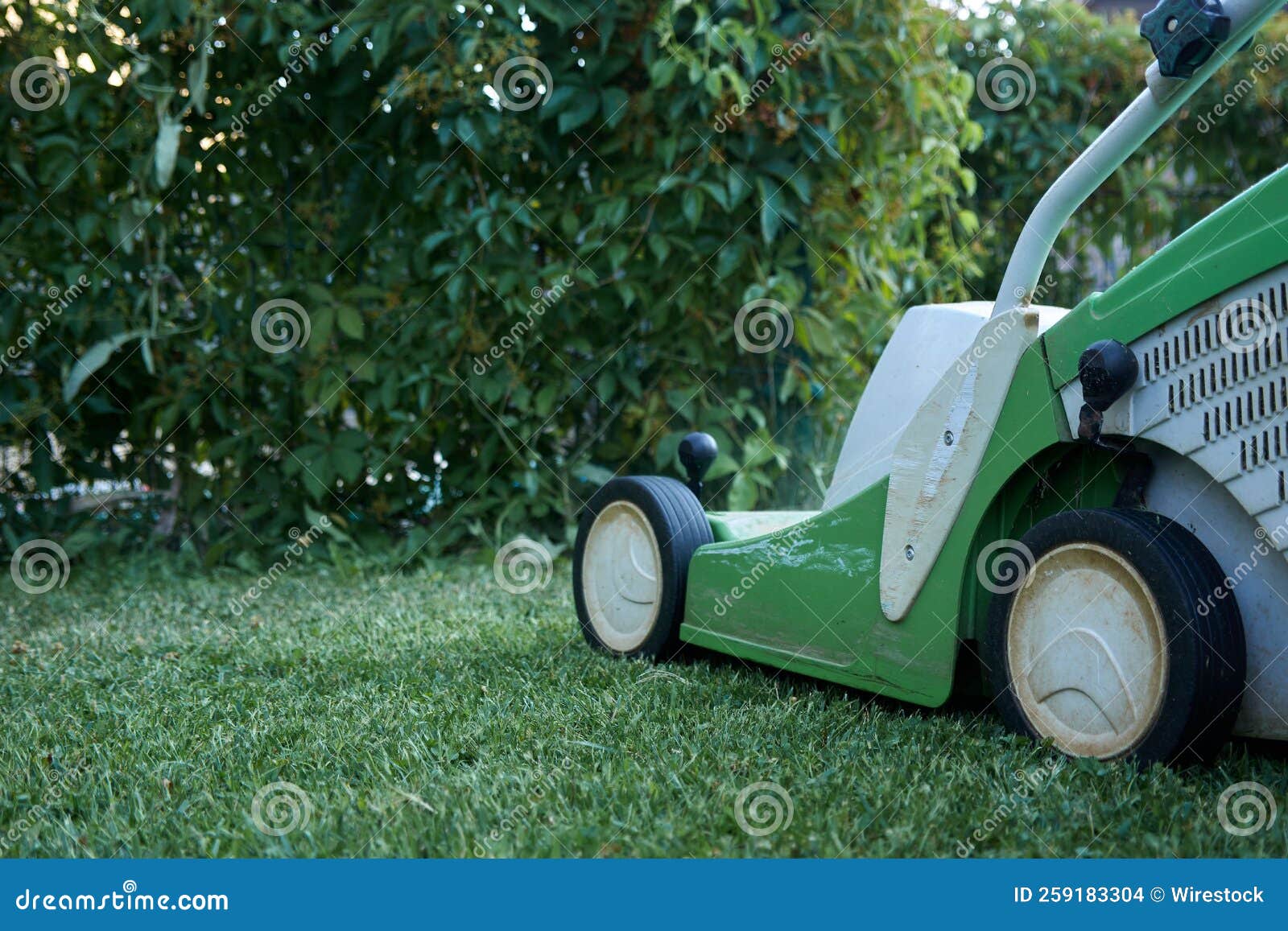 A Green Lawn Mower on Grass Stock Photo - Image of mower, gardening ...