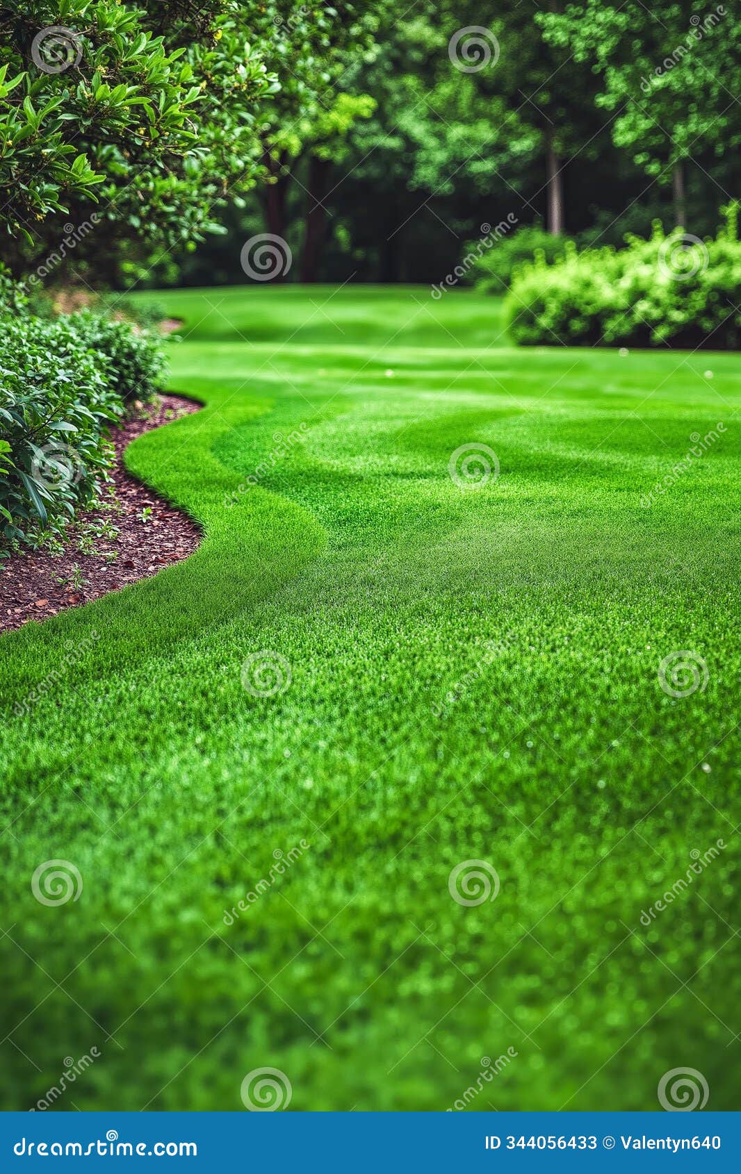 A Green Lawn with a Path in the Middle of it Stock Image - Image of ...