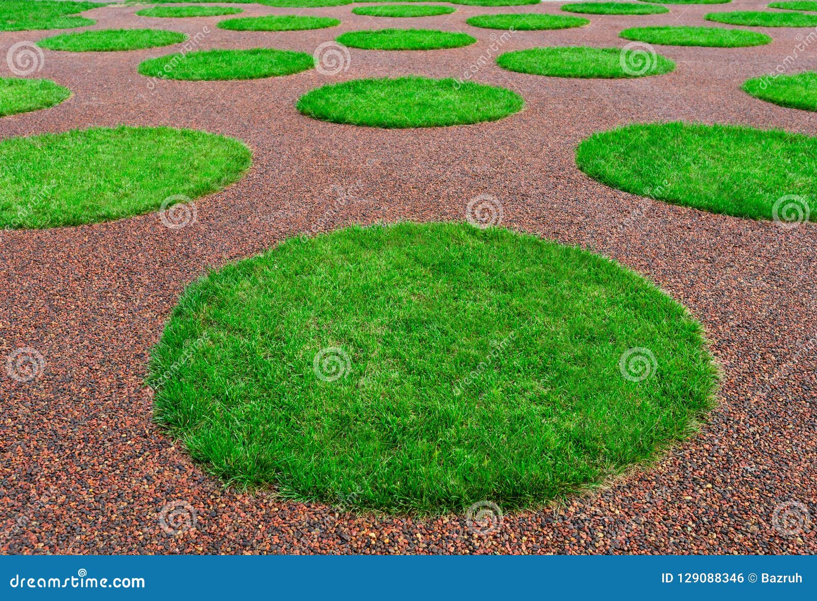 Green Lawn in Shape of Circles Stock Photo - Image of environmental ...
