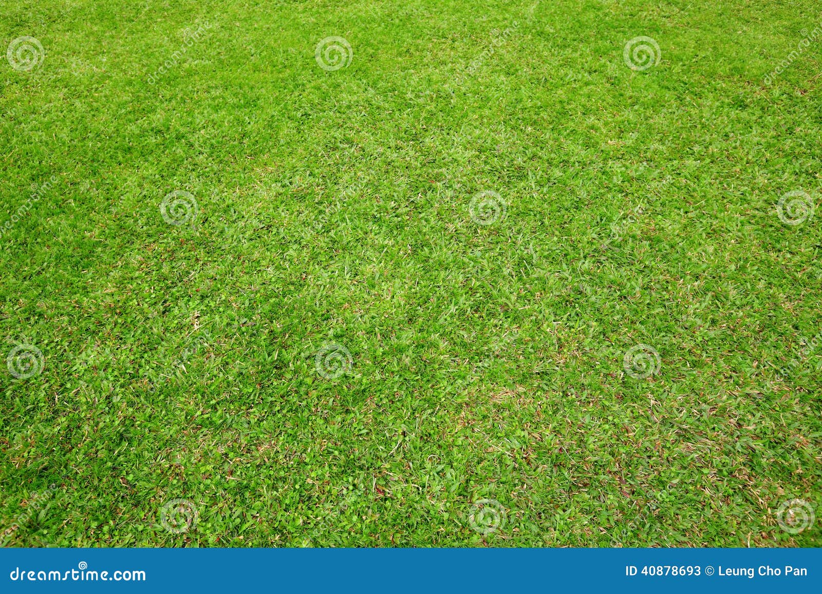 Green lawn stock image. Image of countryside, beauty - 40878693